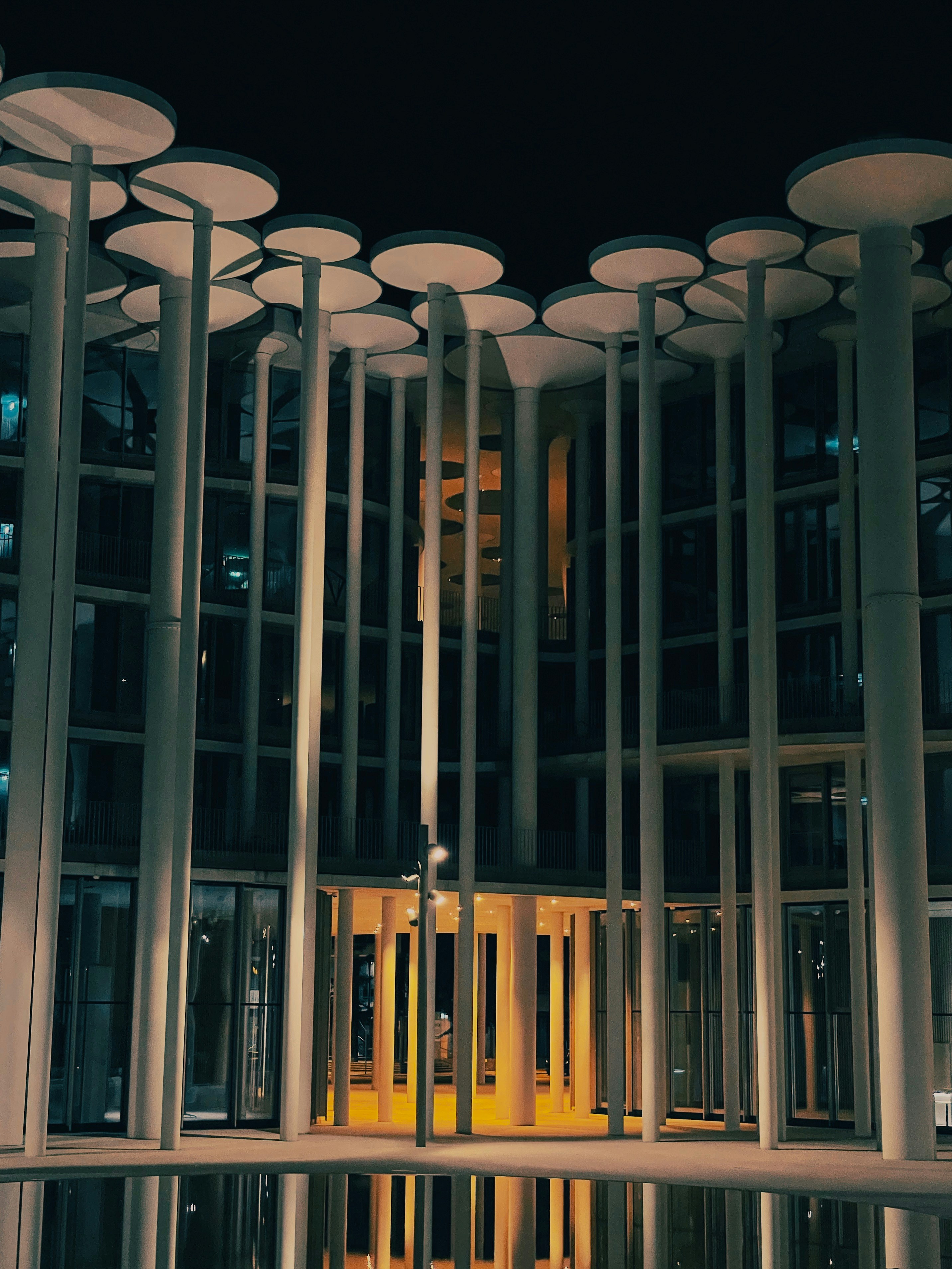 Modern building with tall columns at night