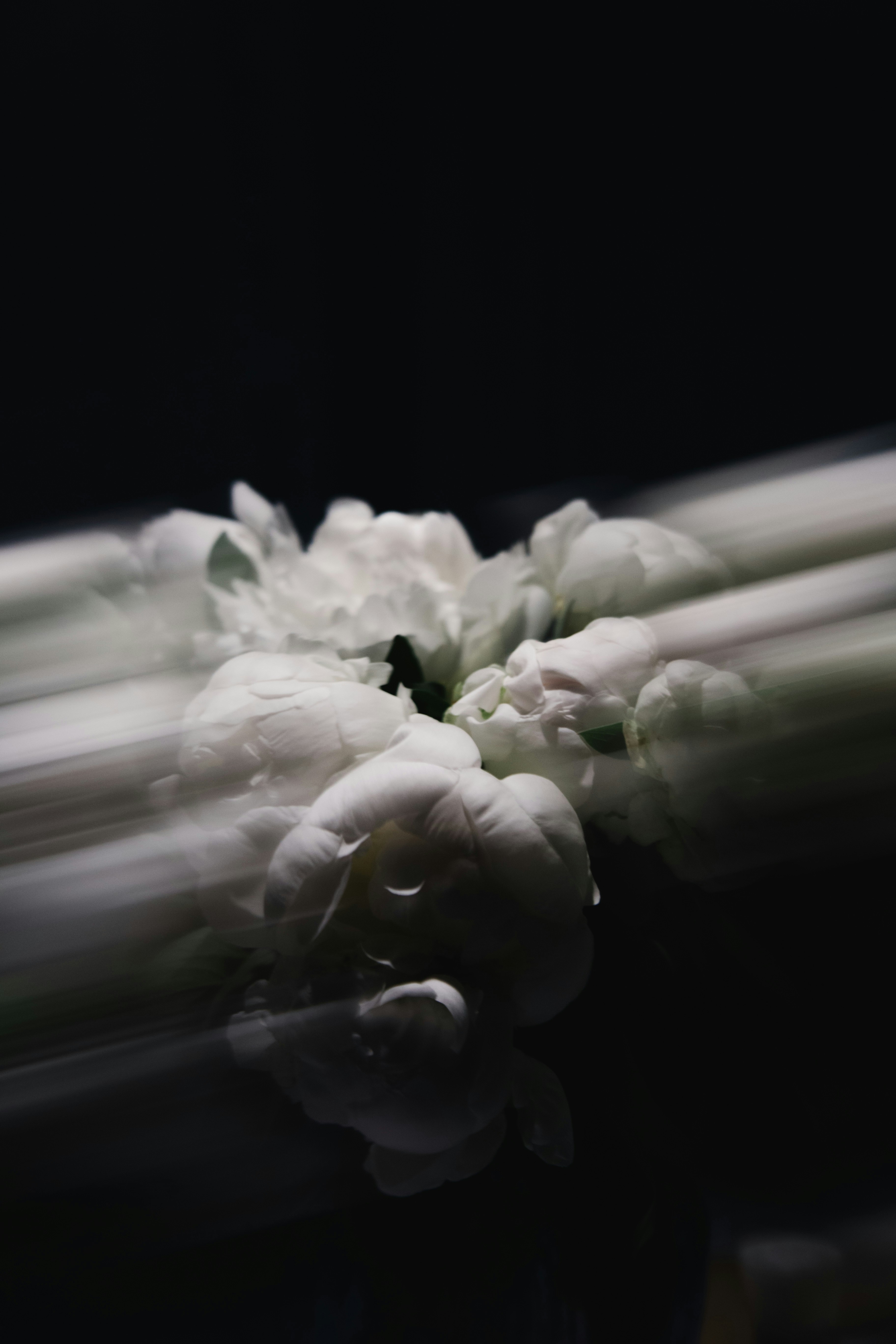 Whispers of Elegance in Motion