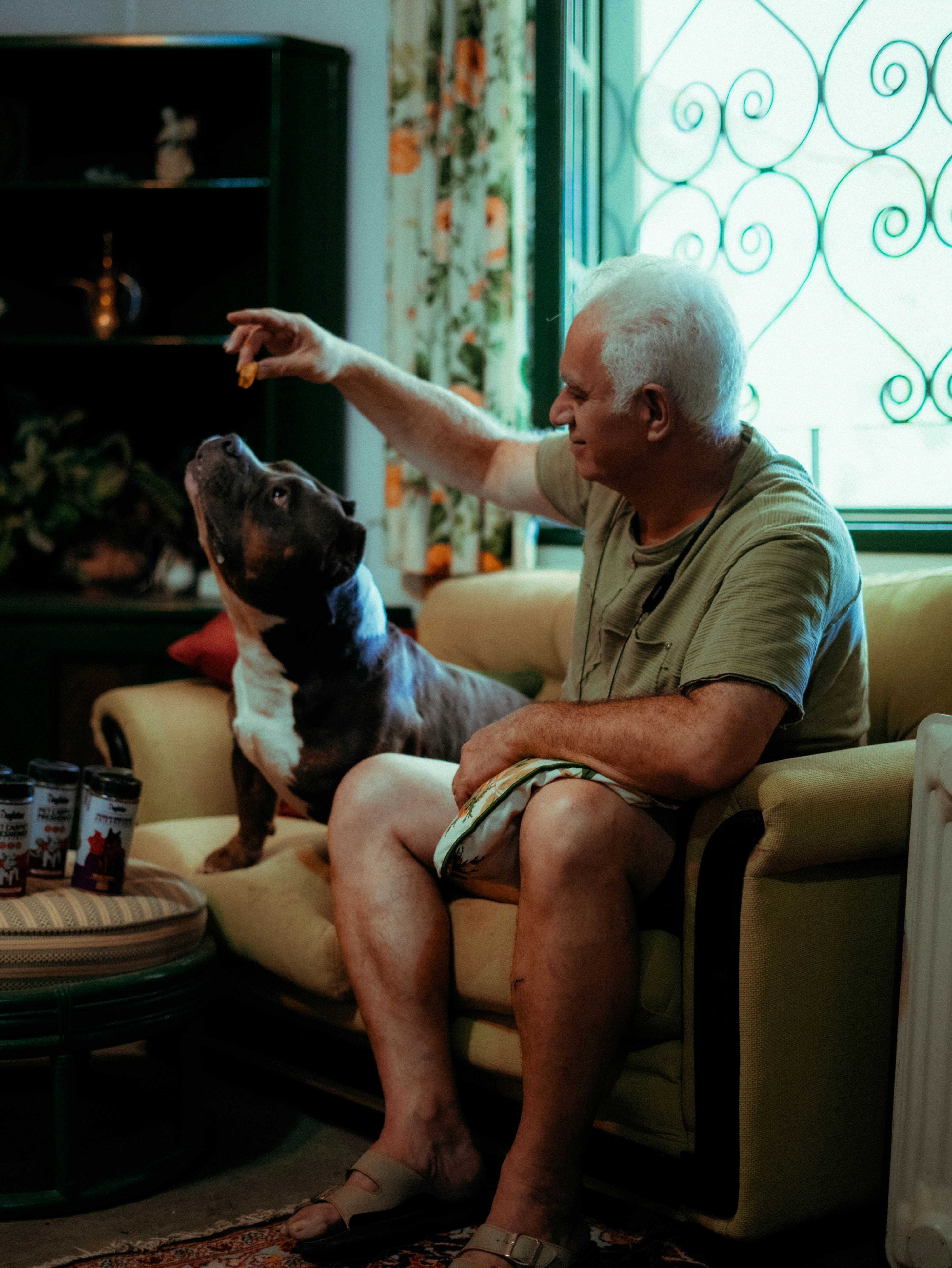 A Moment of Trust: Man and Dog Bonding