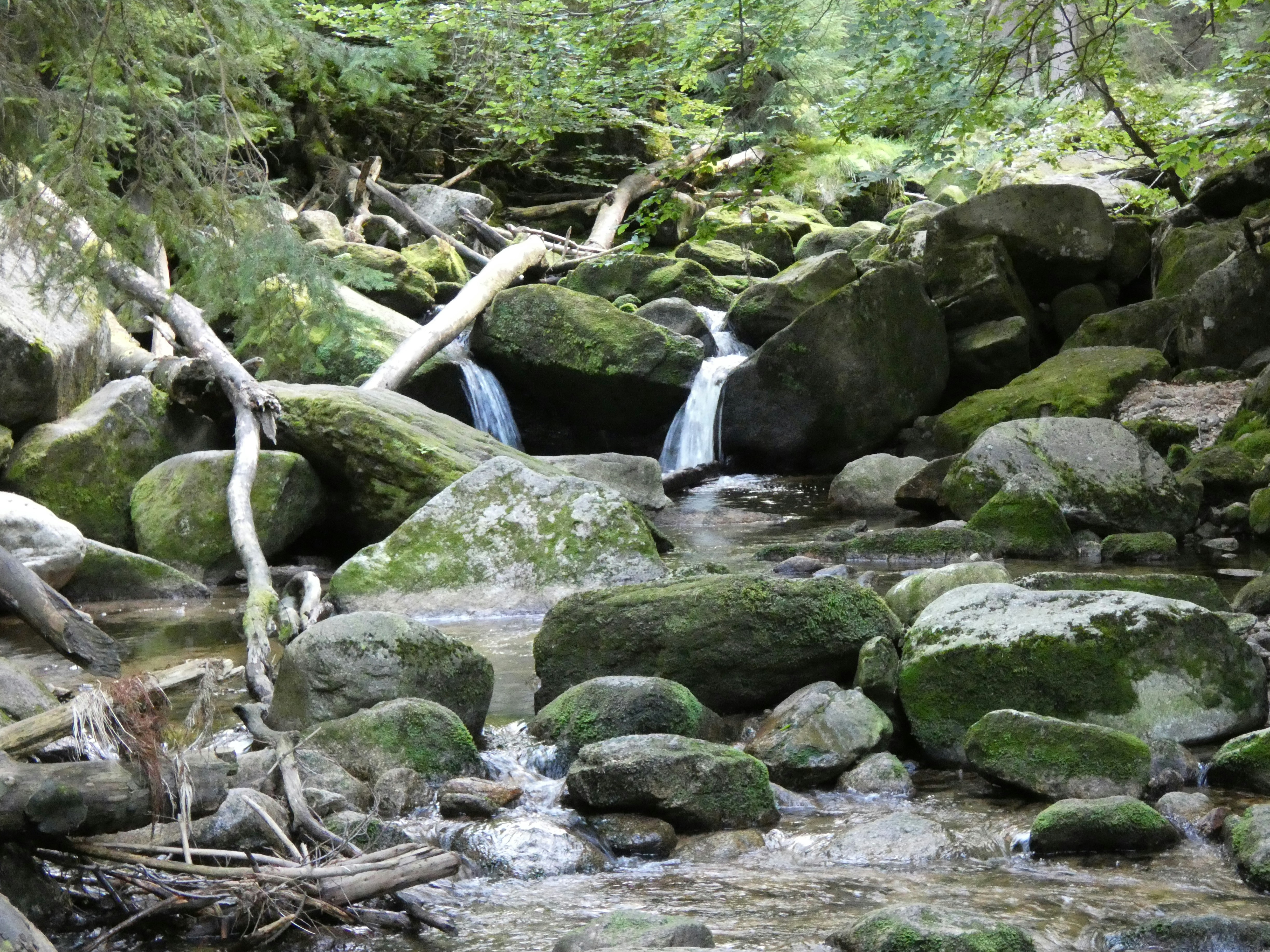 Szklarska Poręba. Niedzielny wypad w góry | Mossy rocks with a small waterfall in a forest