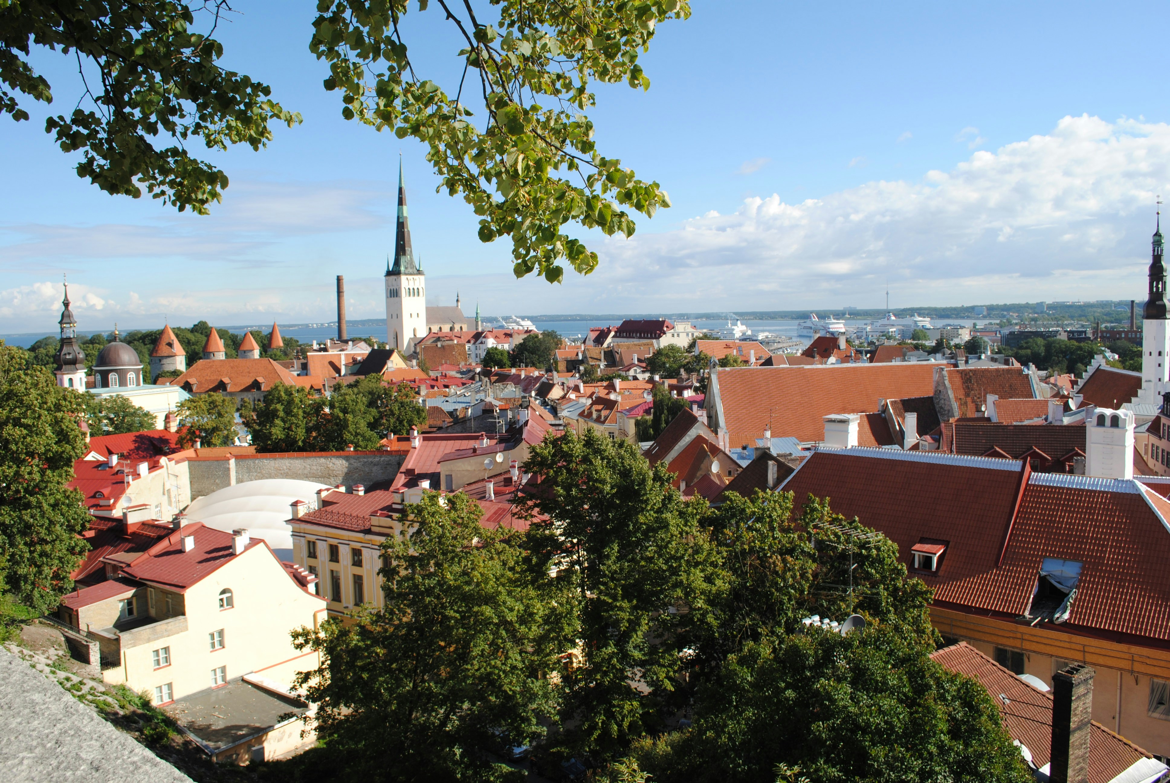 Panoramic view of Tallinn's historic skyline, showcasing its medieval architecture and vibrant rooftops under a clear blue sky.