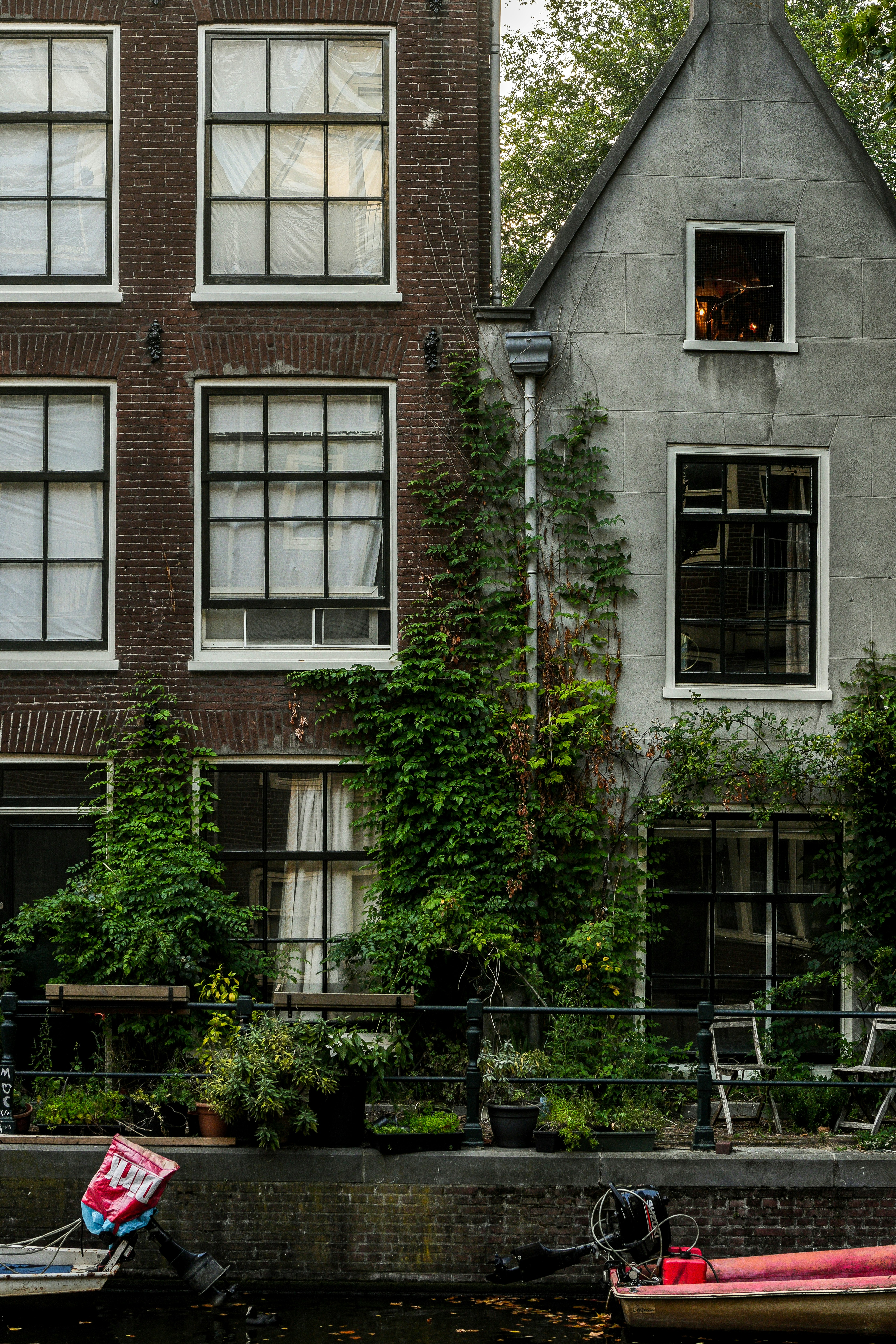 Two buildings with overgrown vines and plants by canal