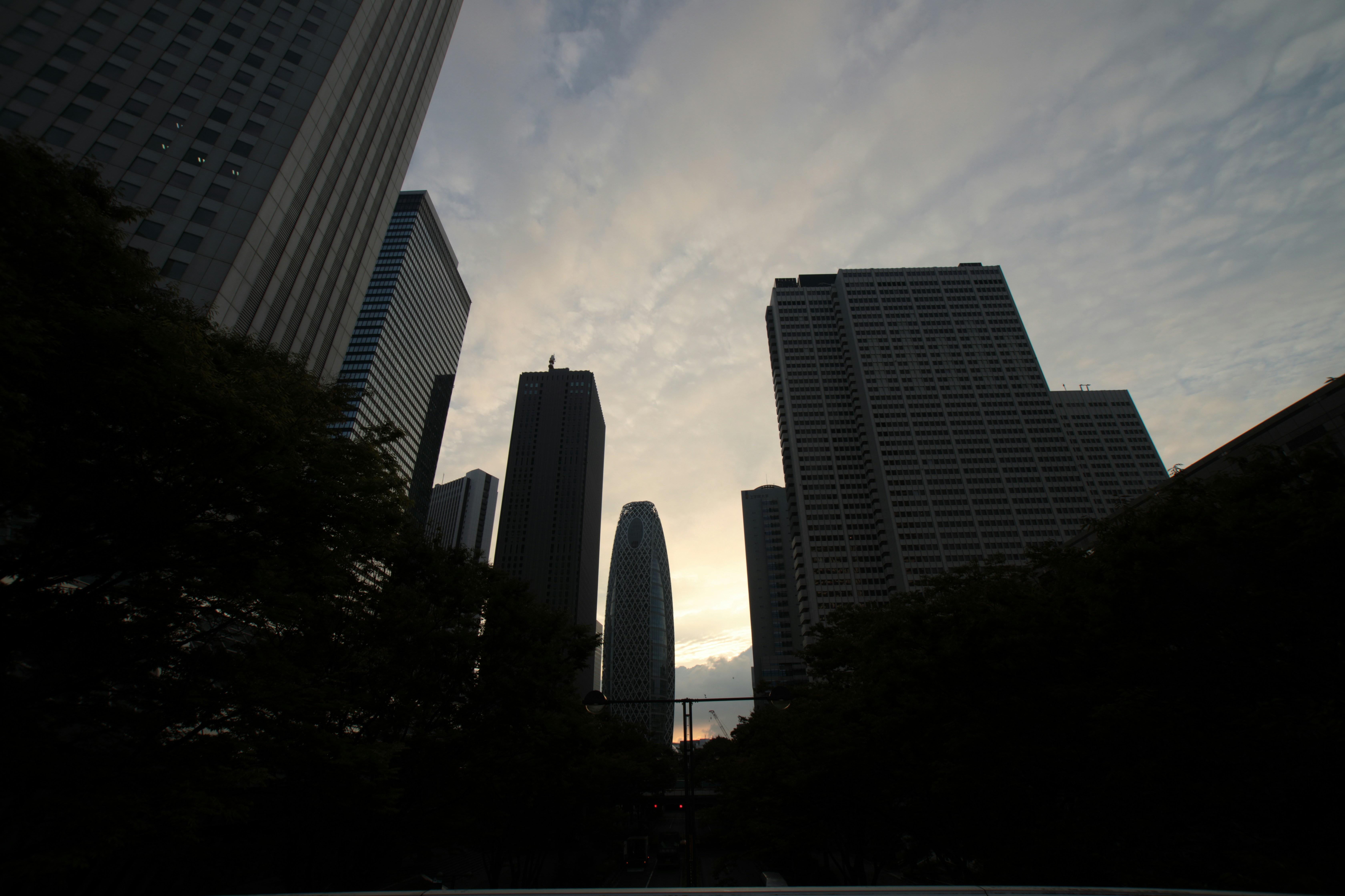 Silhouettes Against the Dusk