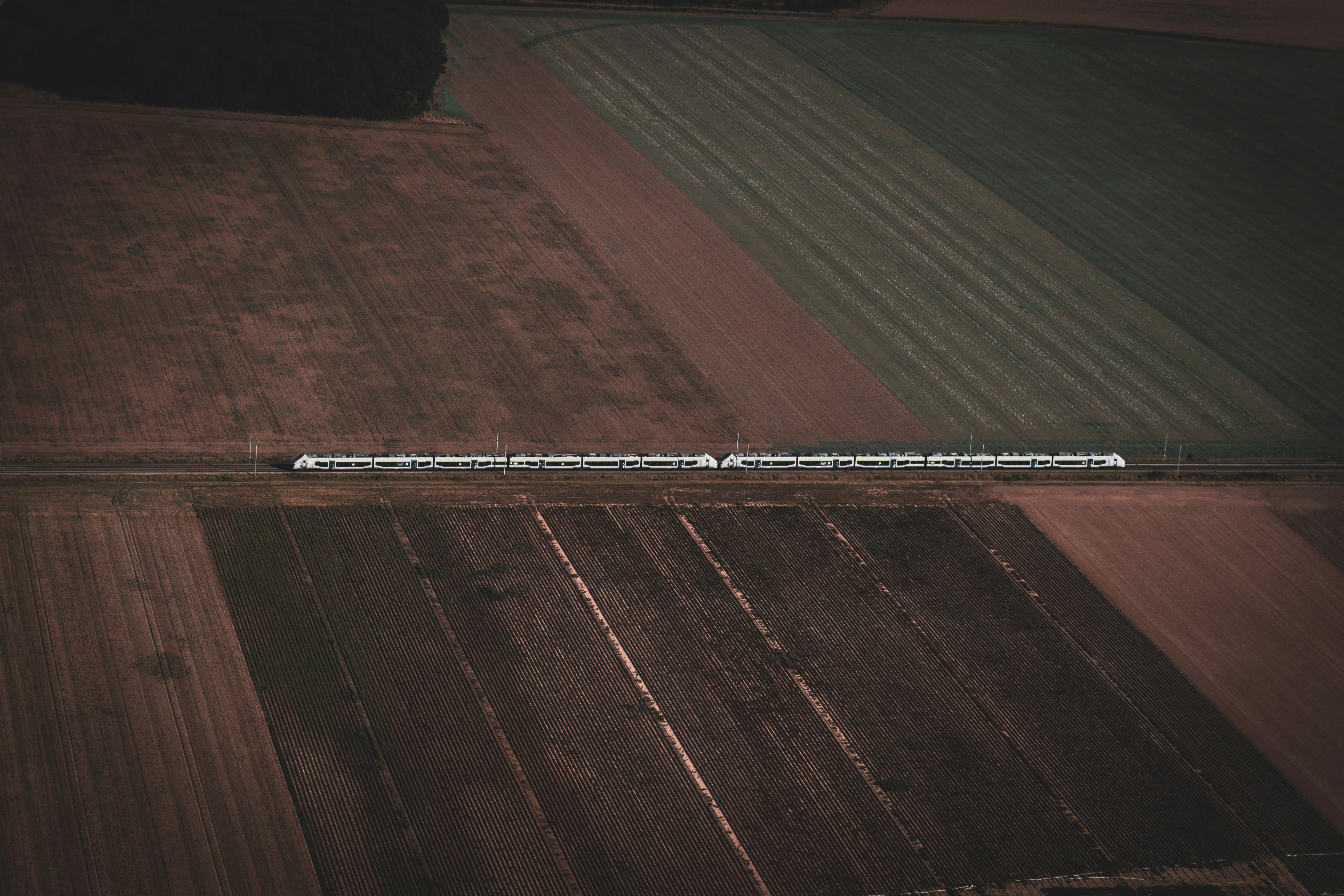 Journey Through the Patchwork Fields