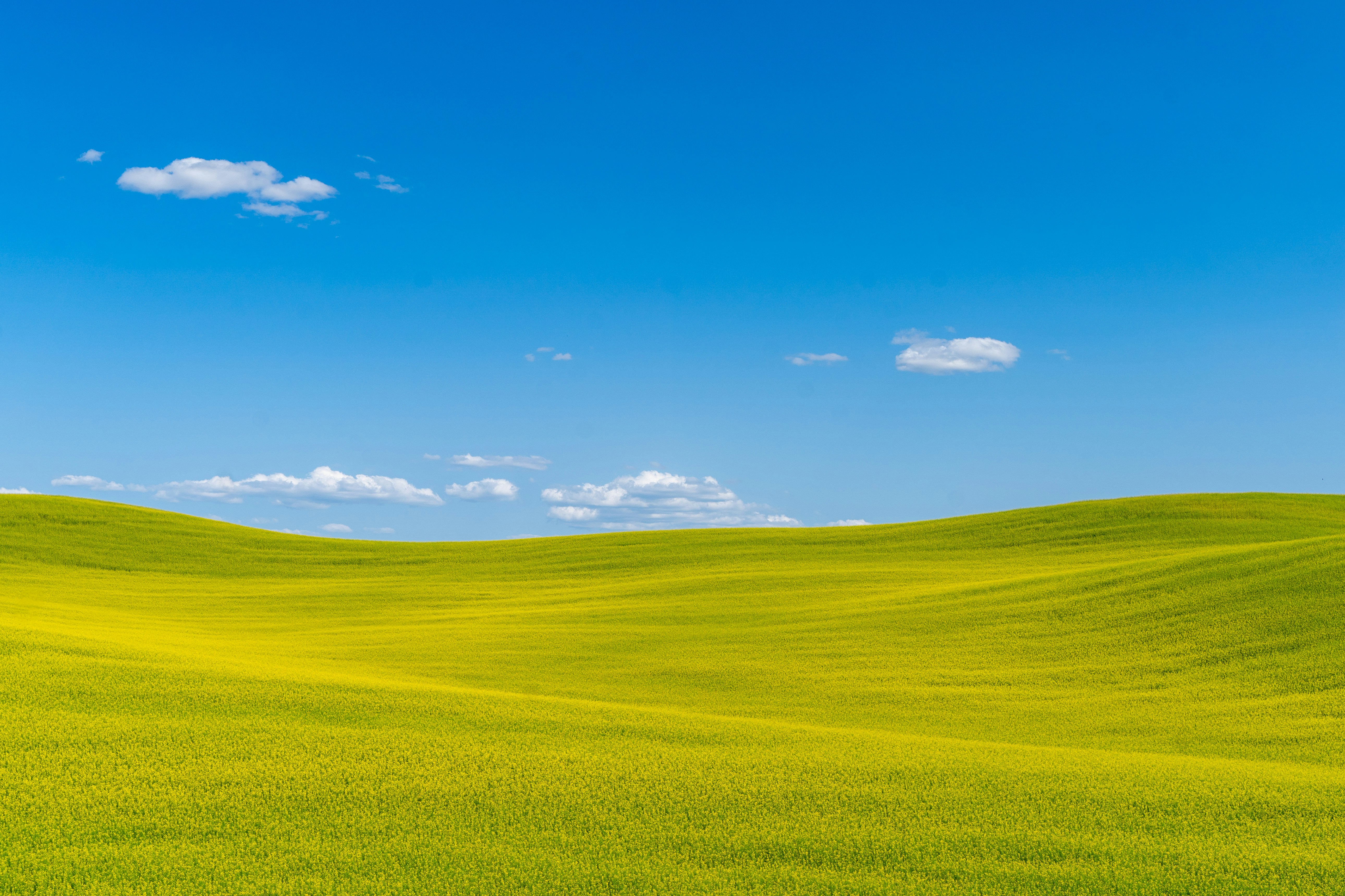 Vibrant green and yellow fields undulate under a clear blue sky dotted with fluffy clouds.