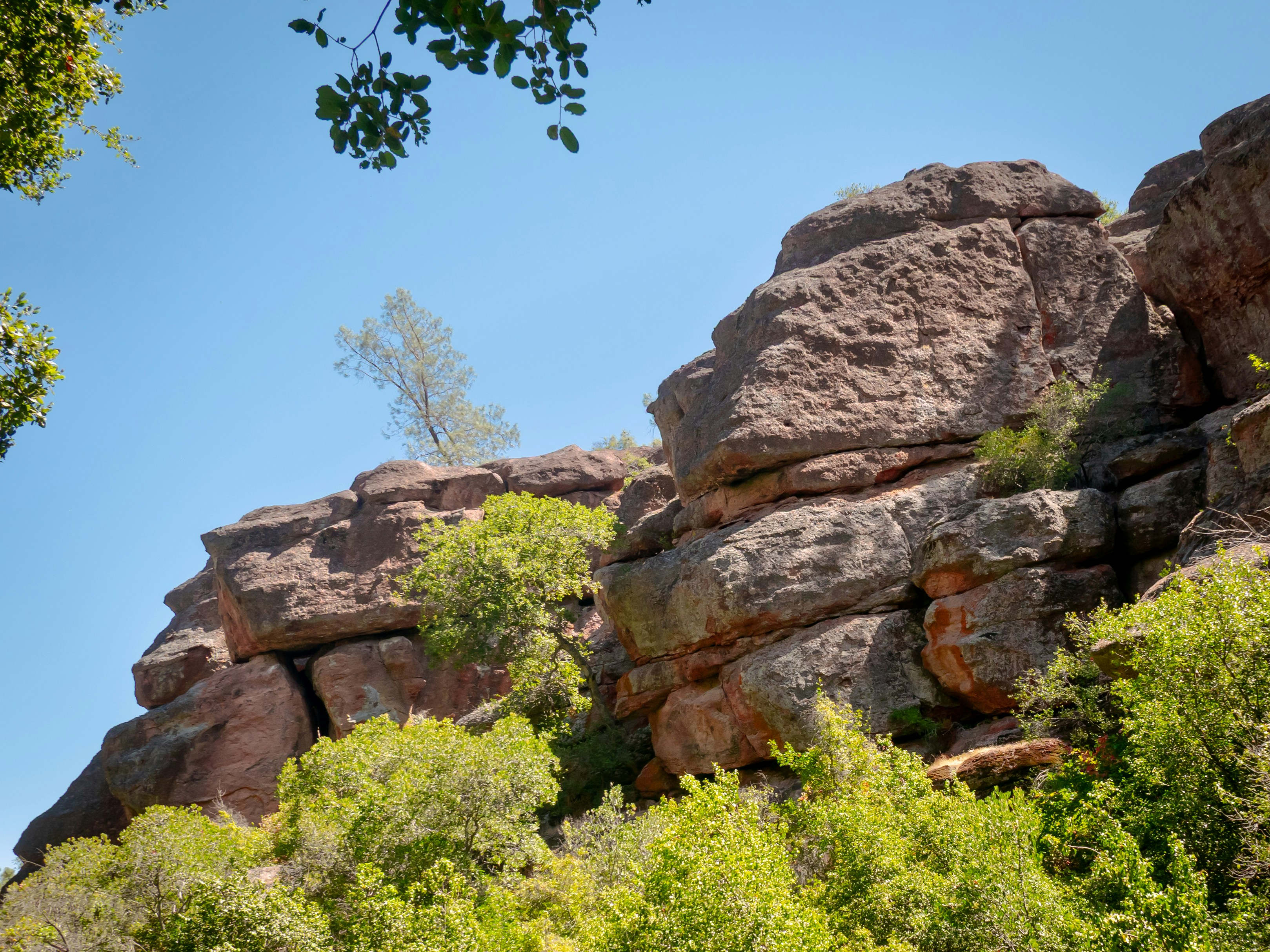 Rocky cliff face with green foliage under blue sky