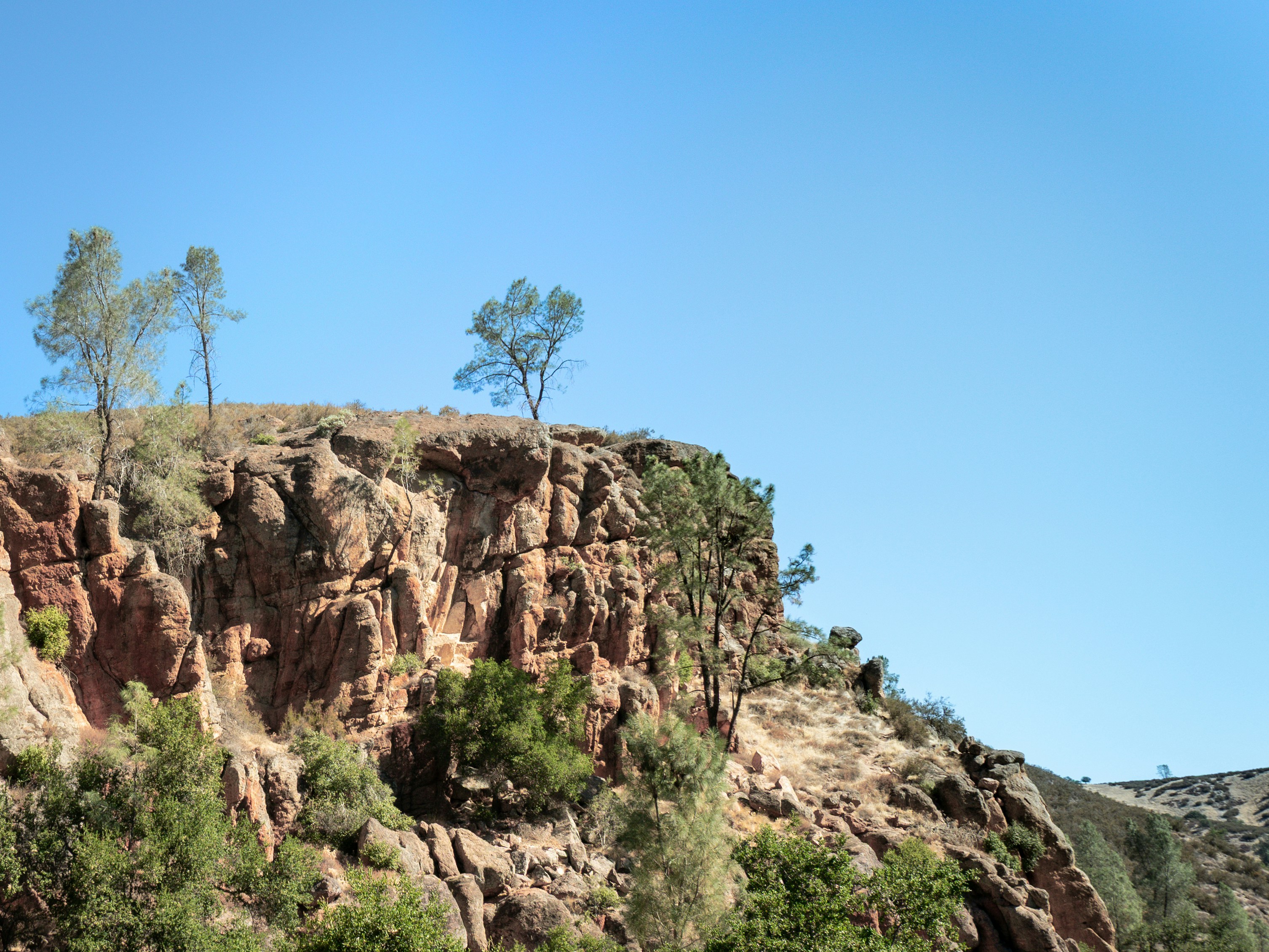 Rocky cliff adorned with resilient trees, showcasing the interplay of nature against a clear blue sky.
