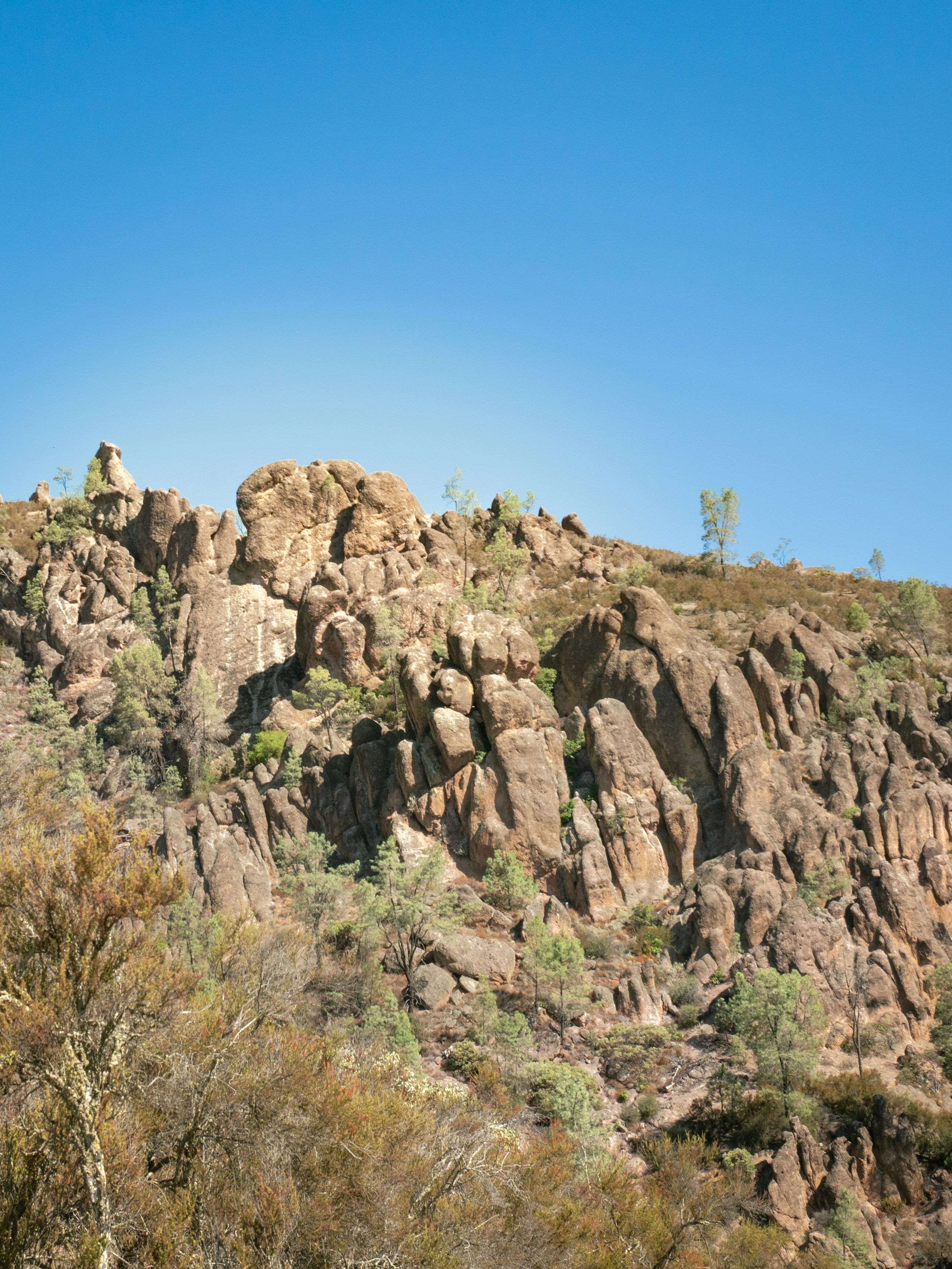 Rocky hillside with sparse trees under a clear blue sky