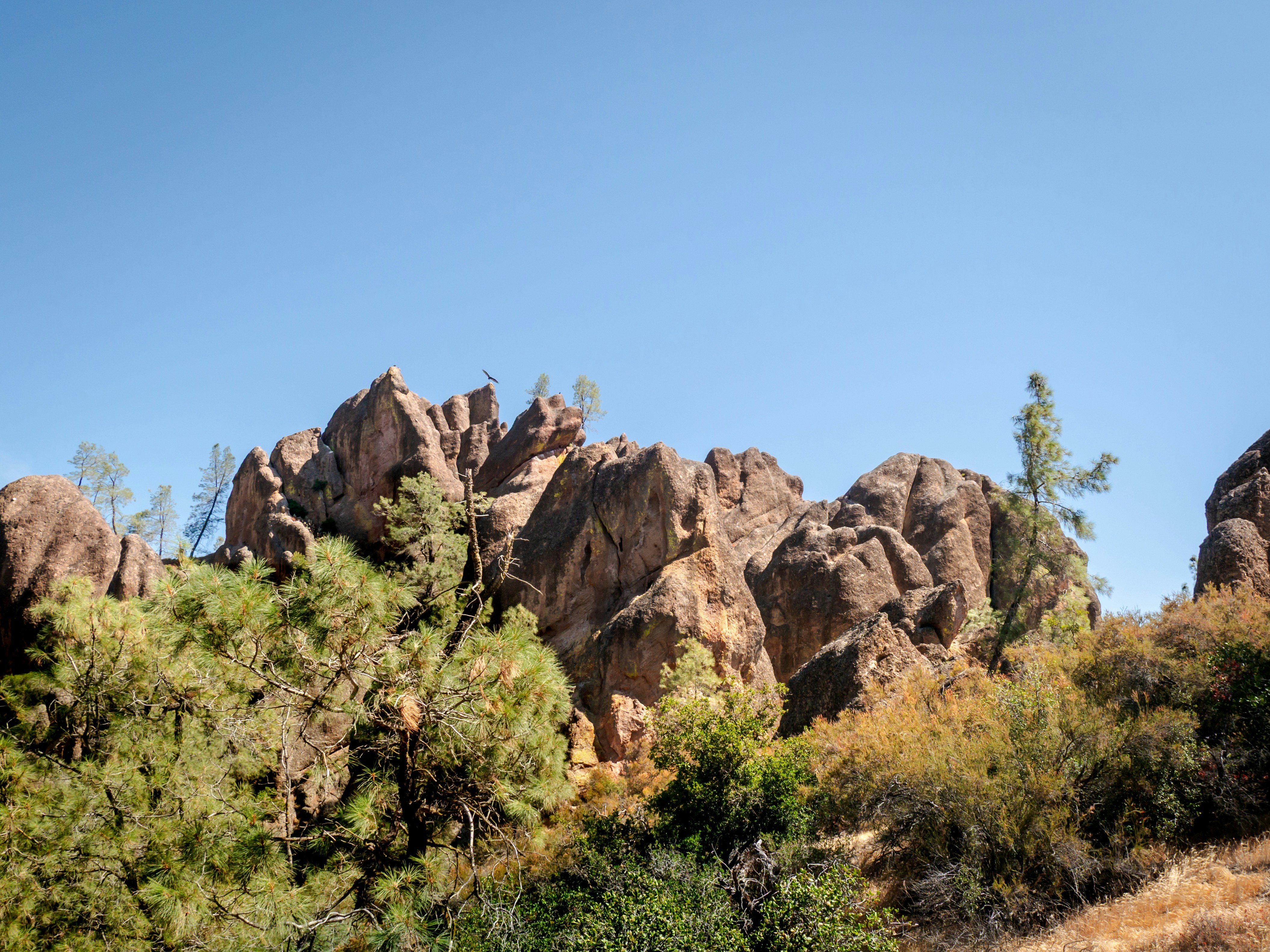A rugged formation of boulders rises against a clear blue sky, surrounded by lush greenery. The scene captures the essence of a serene natural landscape.