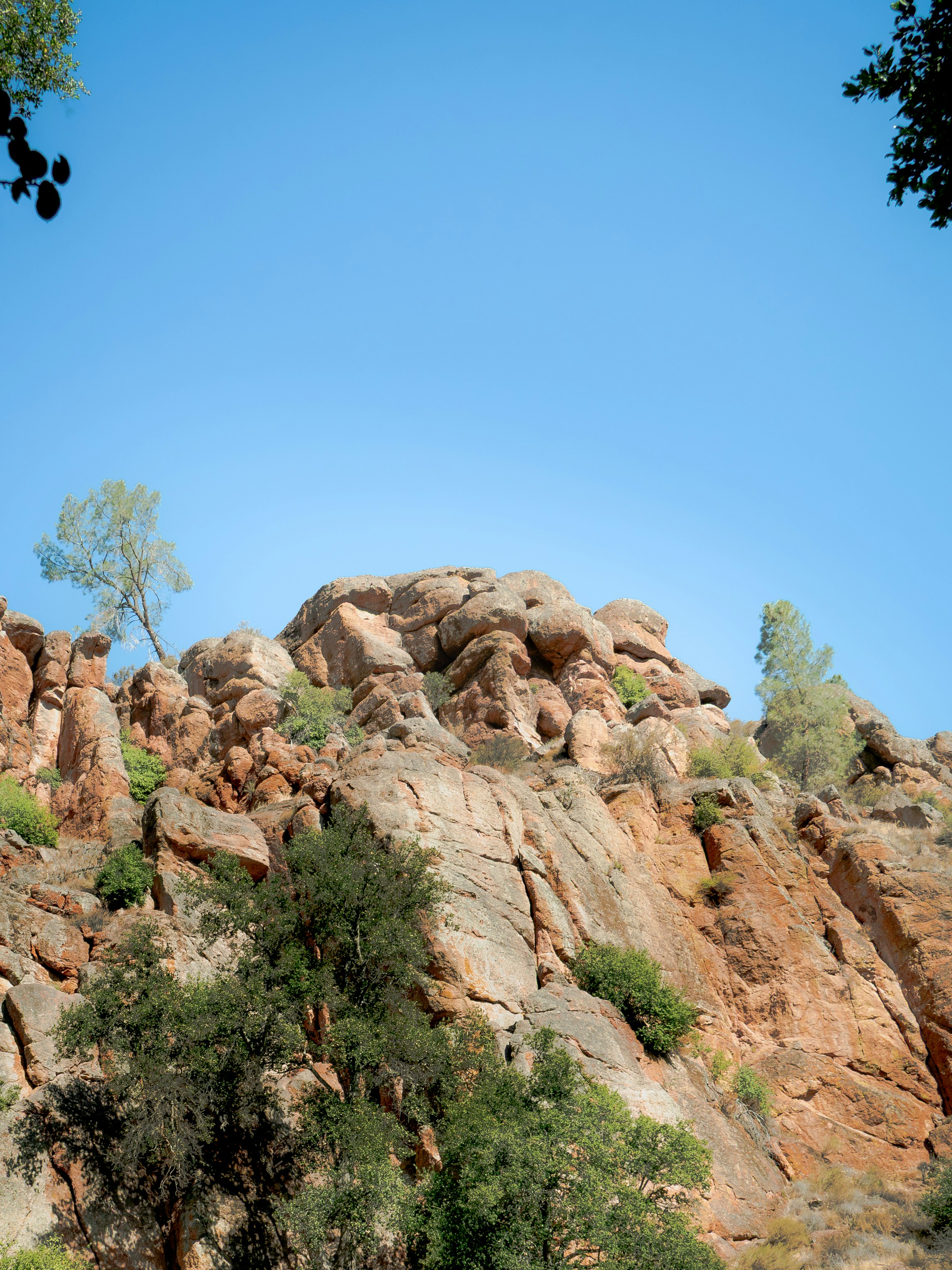 Rugged rock formations rise against a clear blue sky, interspersed with vibrant greenery, showcasing the beauty of natural landscapes.
