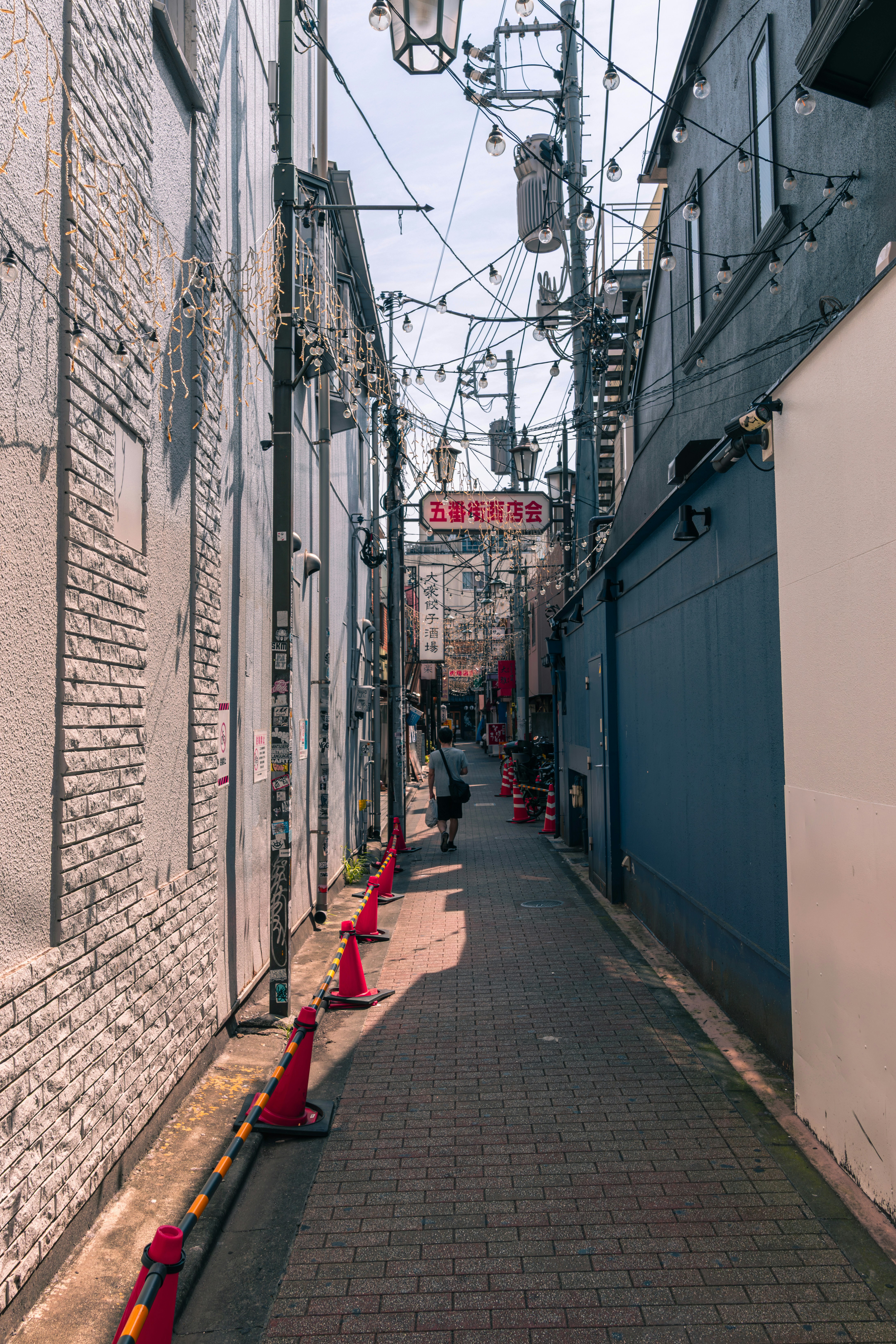 Whispers of the Alley: A Journey Through Urban Shadows