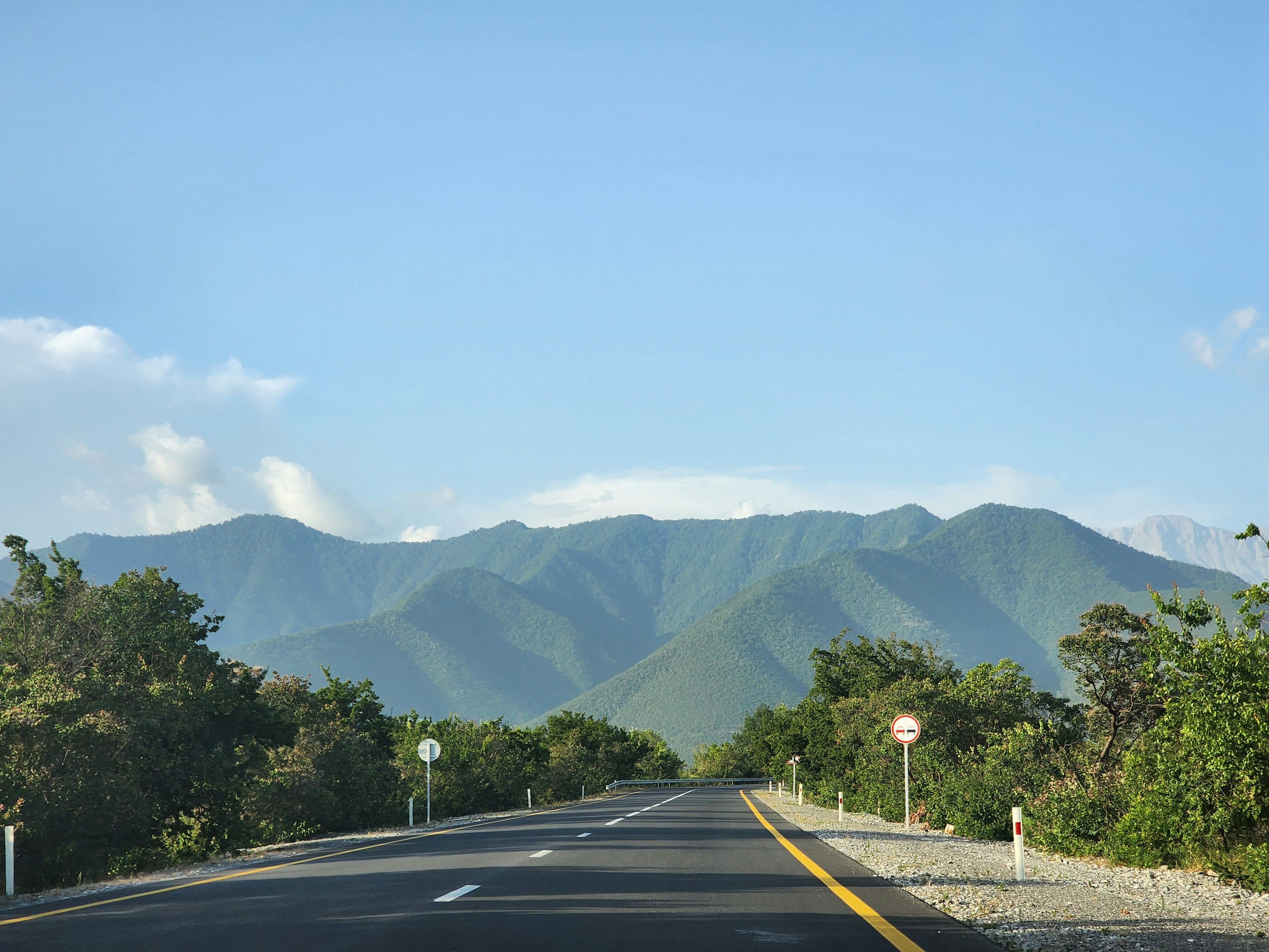 Journey Through the Green Veil of Mountains