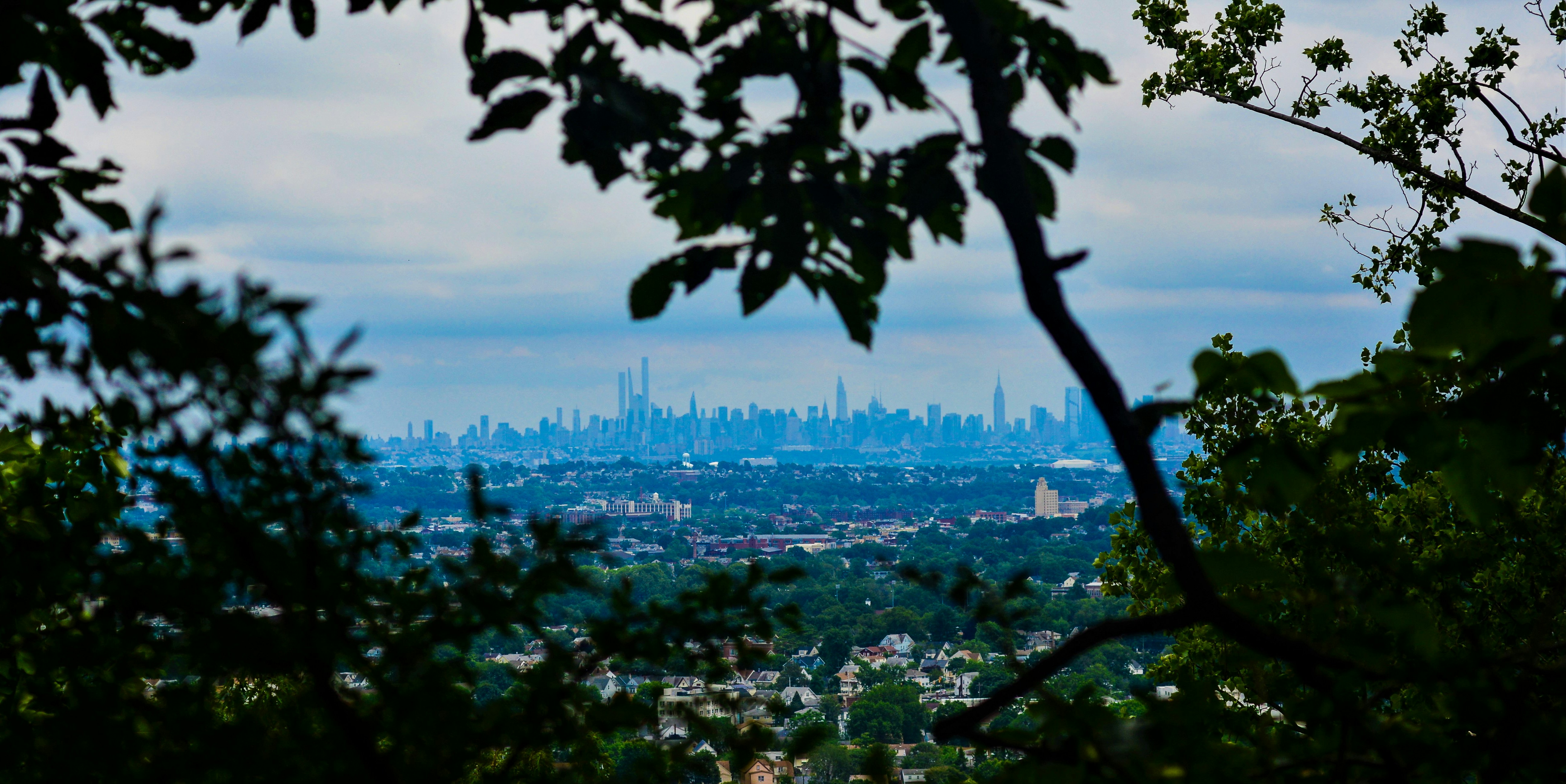 Distant city skyline seen through forest trees
