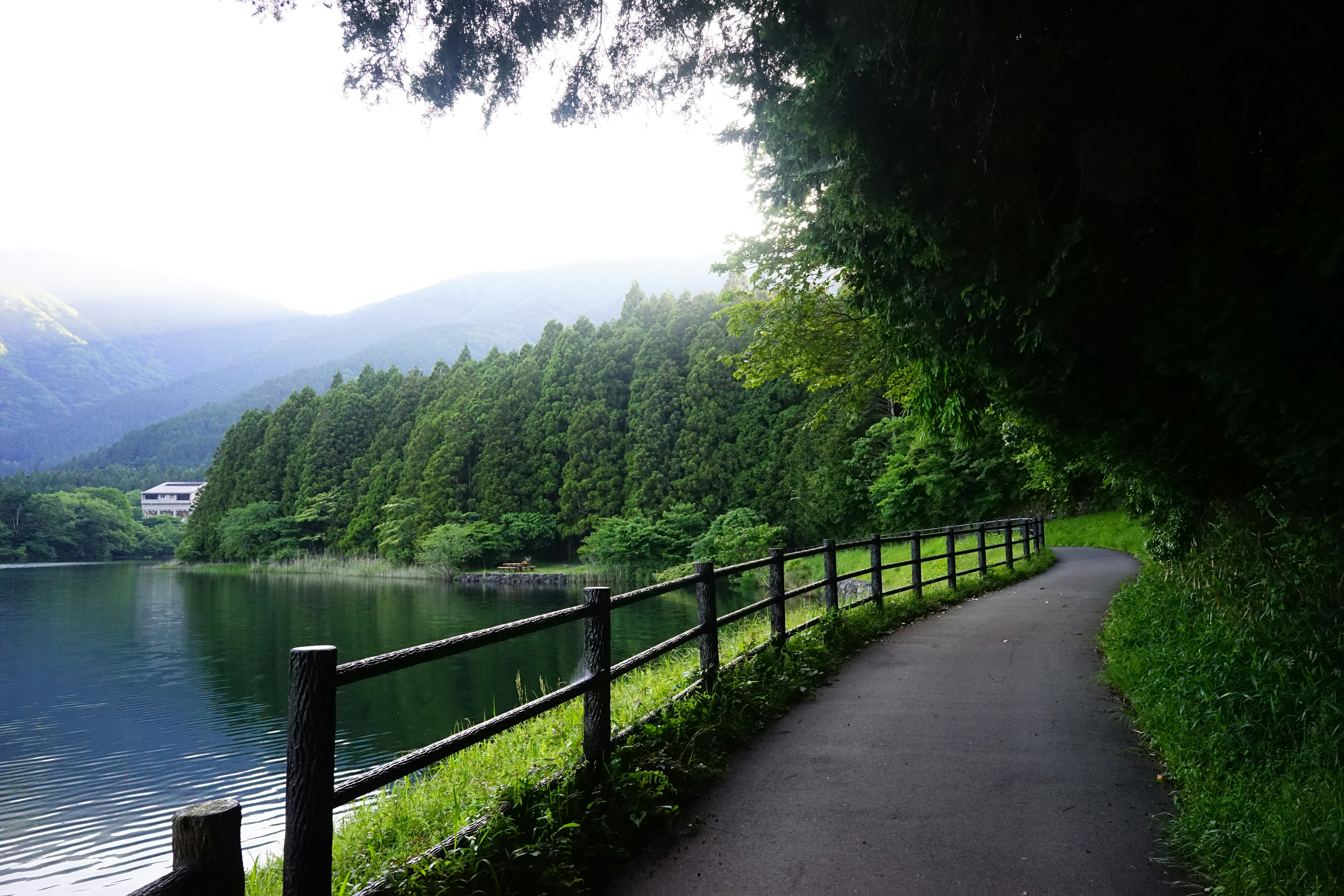 A tranquil lakeside path bordered by lush greenery and a wooden fence, leading towards distant mountains under a soft, diffused light.