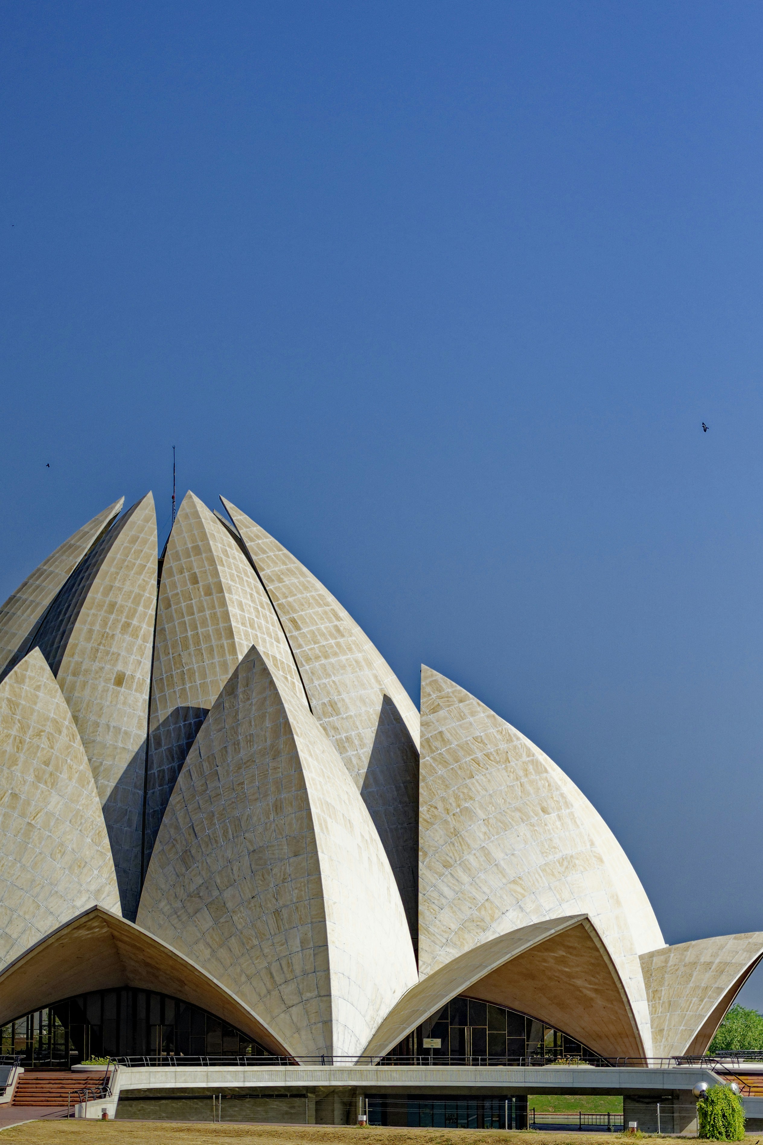 Modern concrete structure resembling a blooming flower