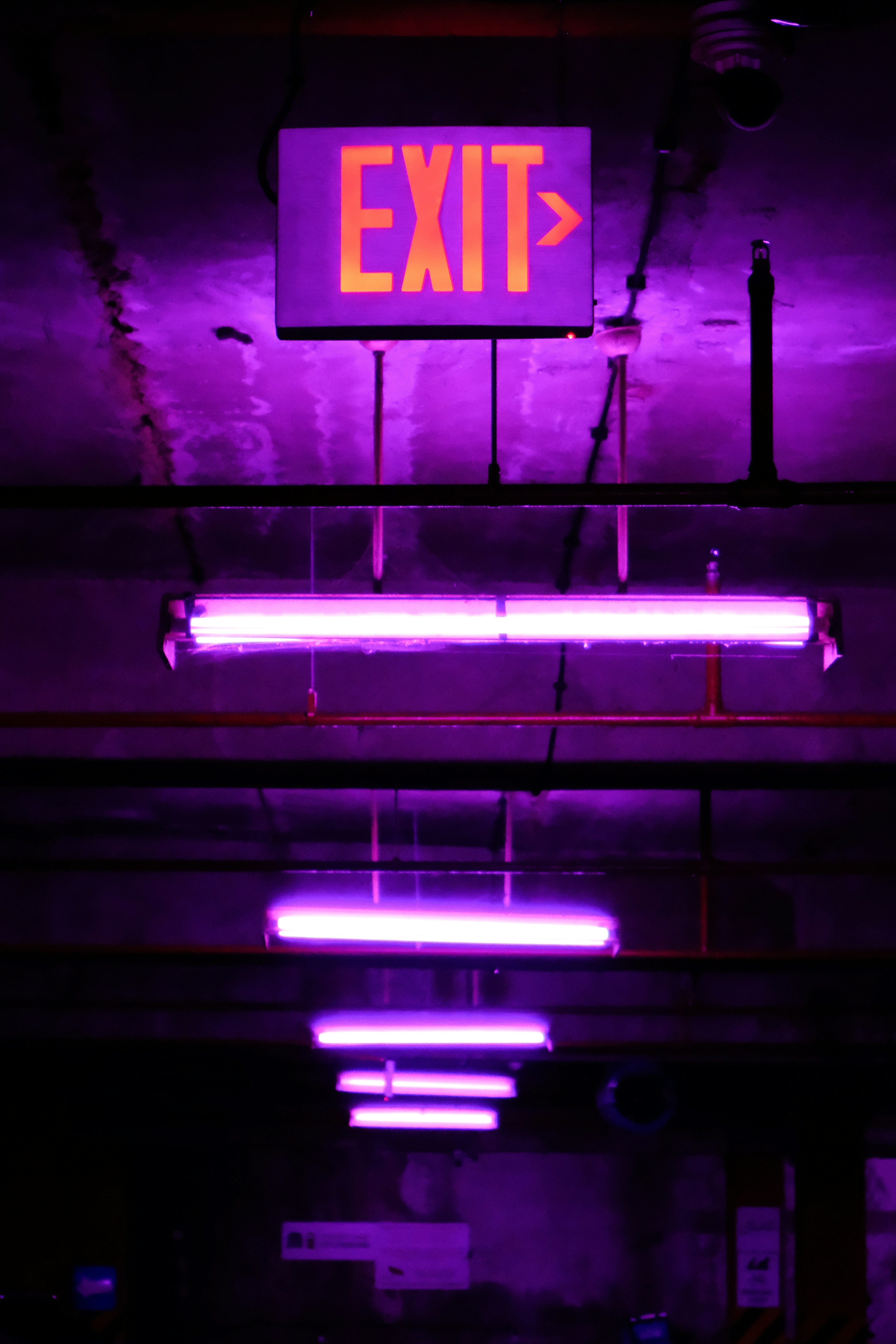 Neon Pathway: A Journey to the Exit