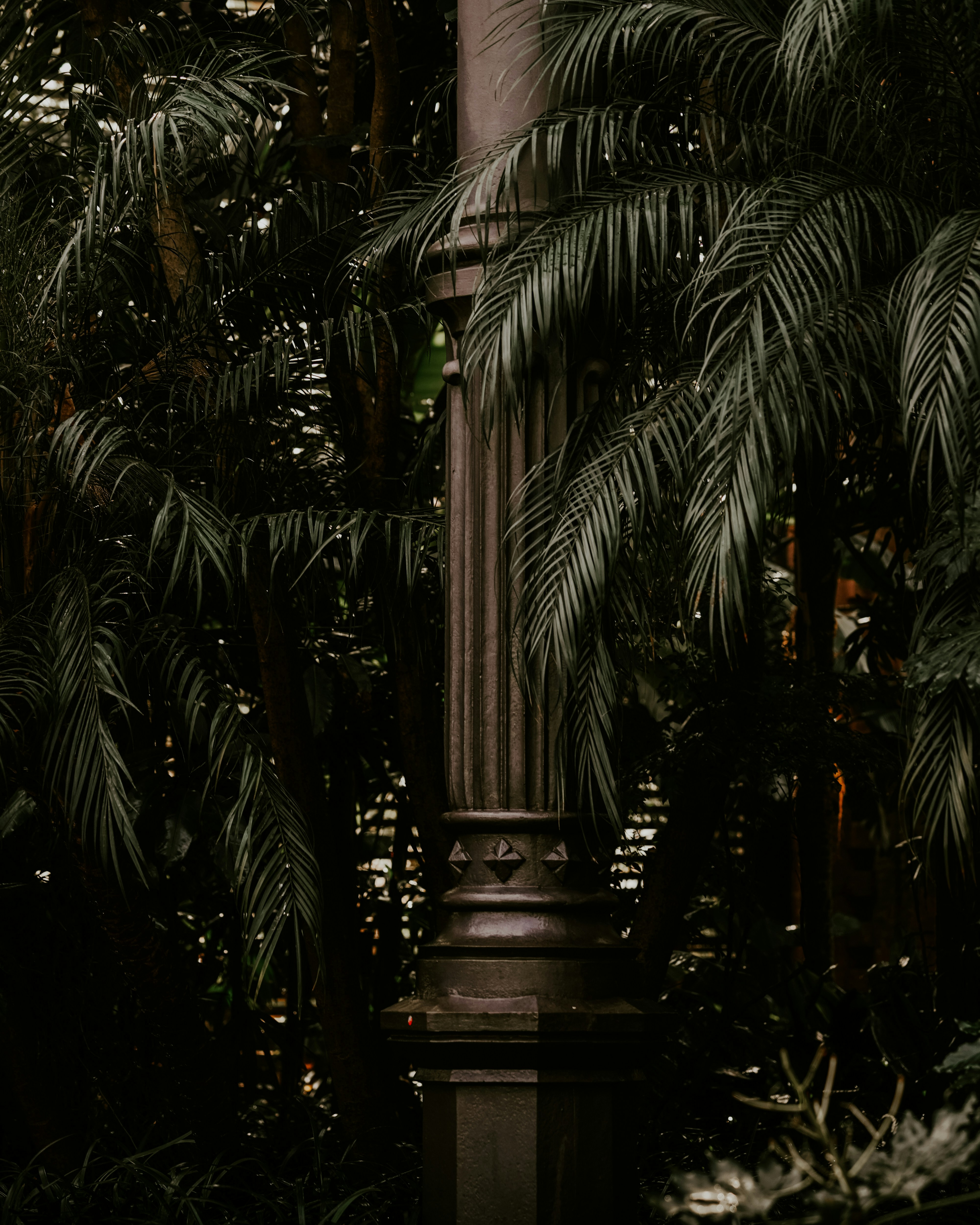 Nature's Embrace: A Hidden Architectural Gem