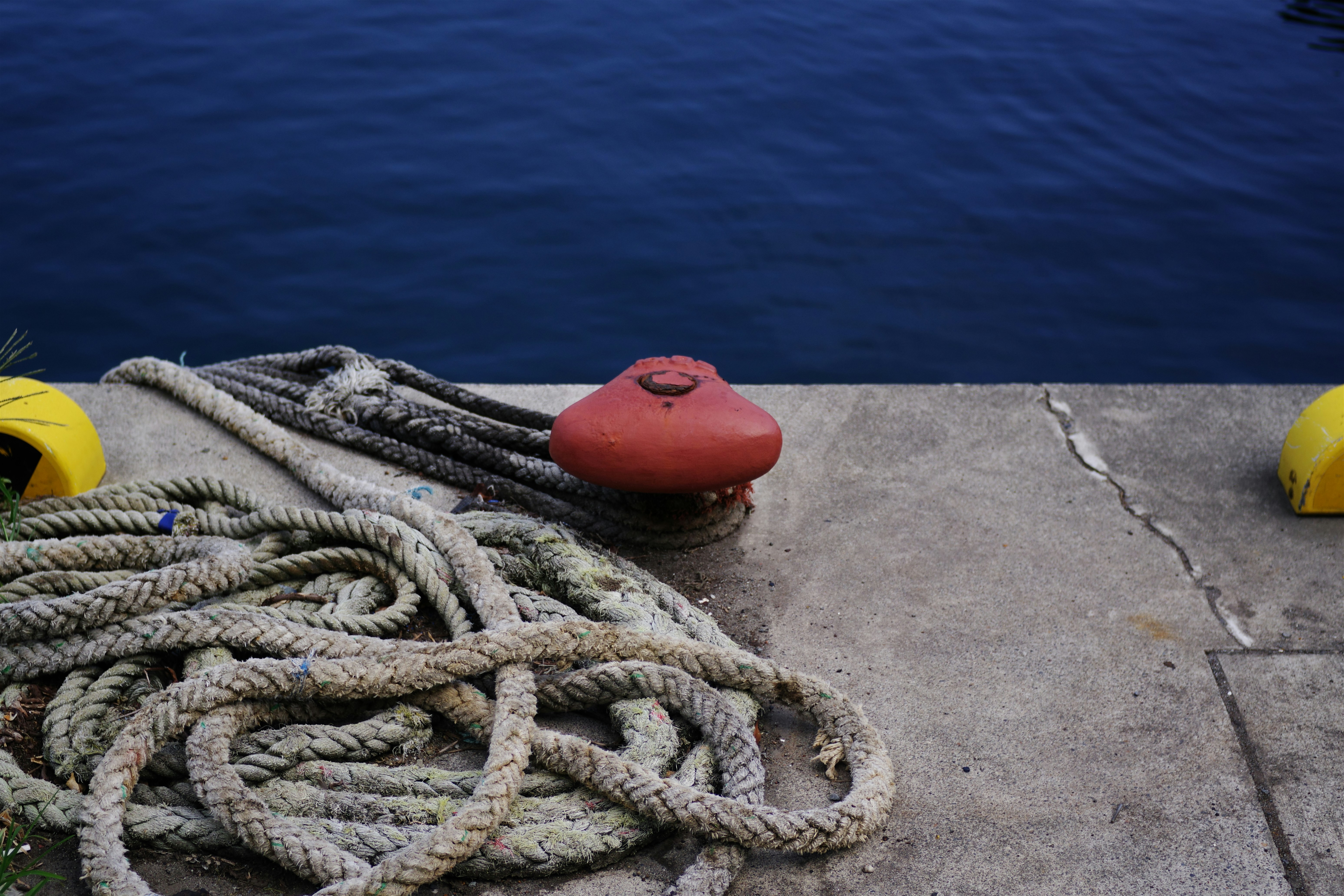 Thick ropes lie on a concrete dock near water.