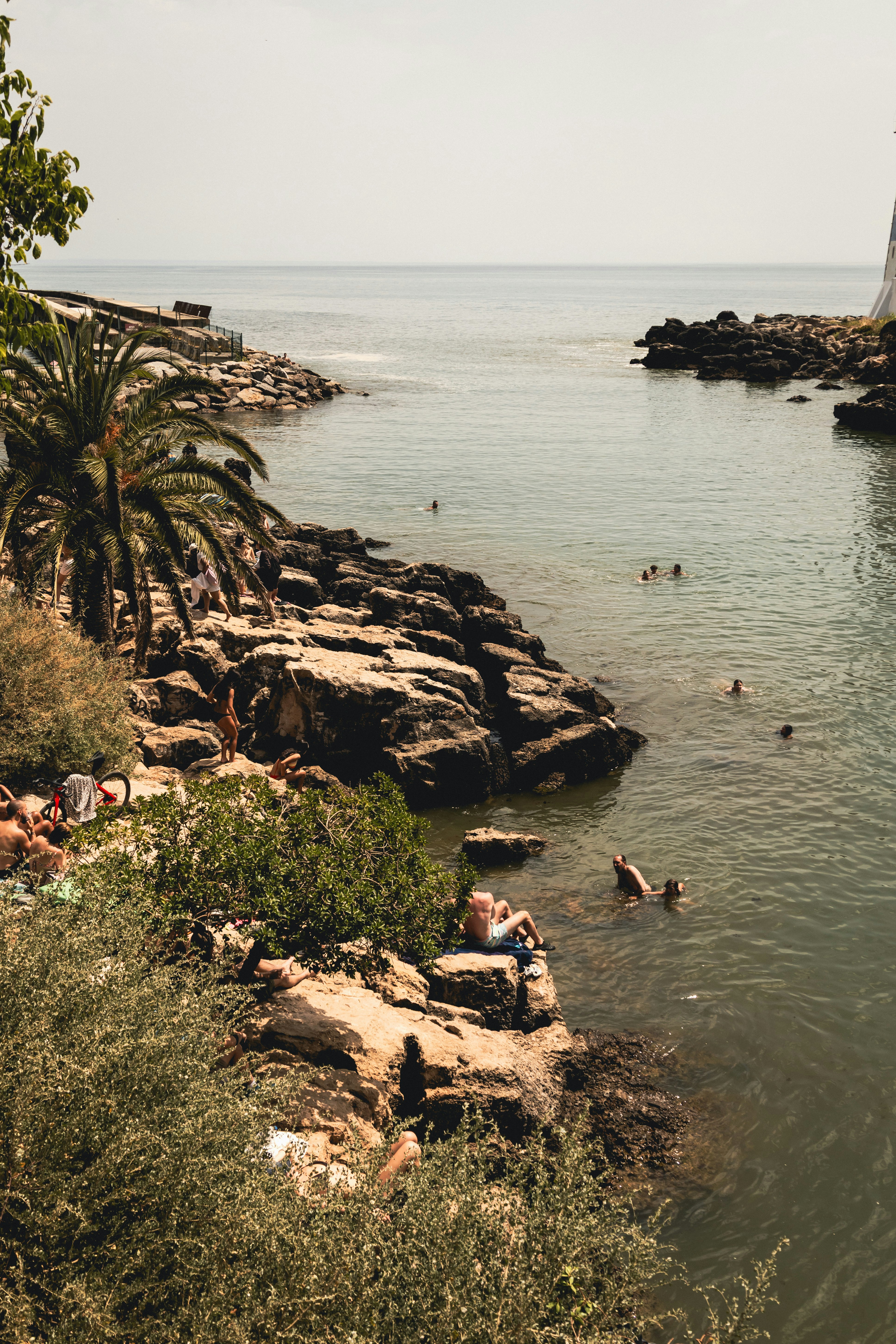 Serenity by the Shoreline: A Day of Leisure