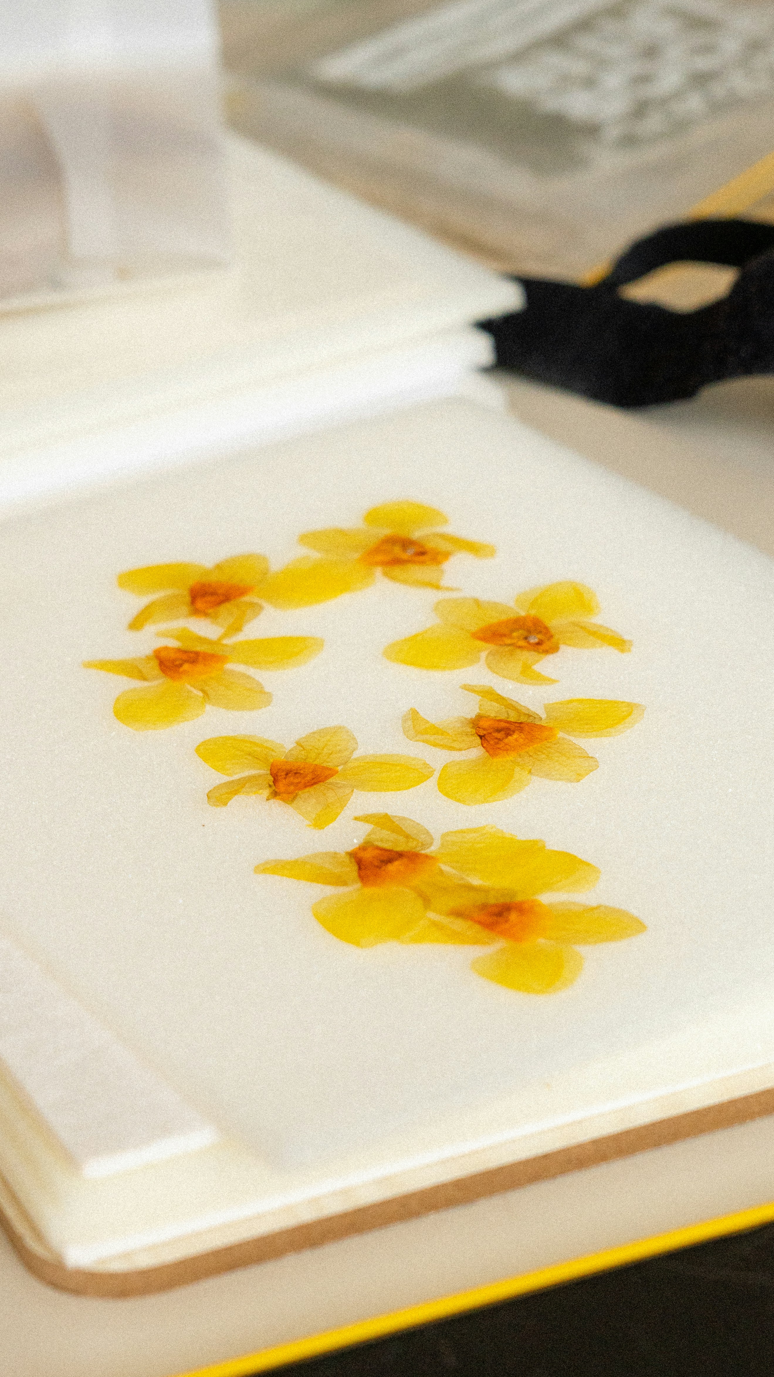 Delicate Impressions: A Floral Arrangement on Paper