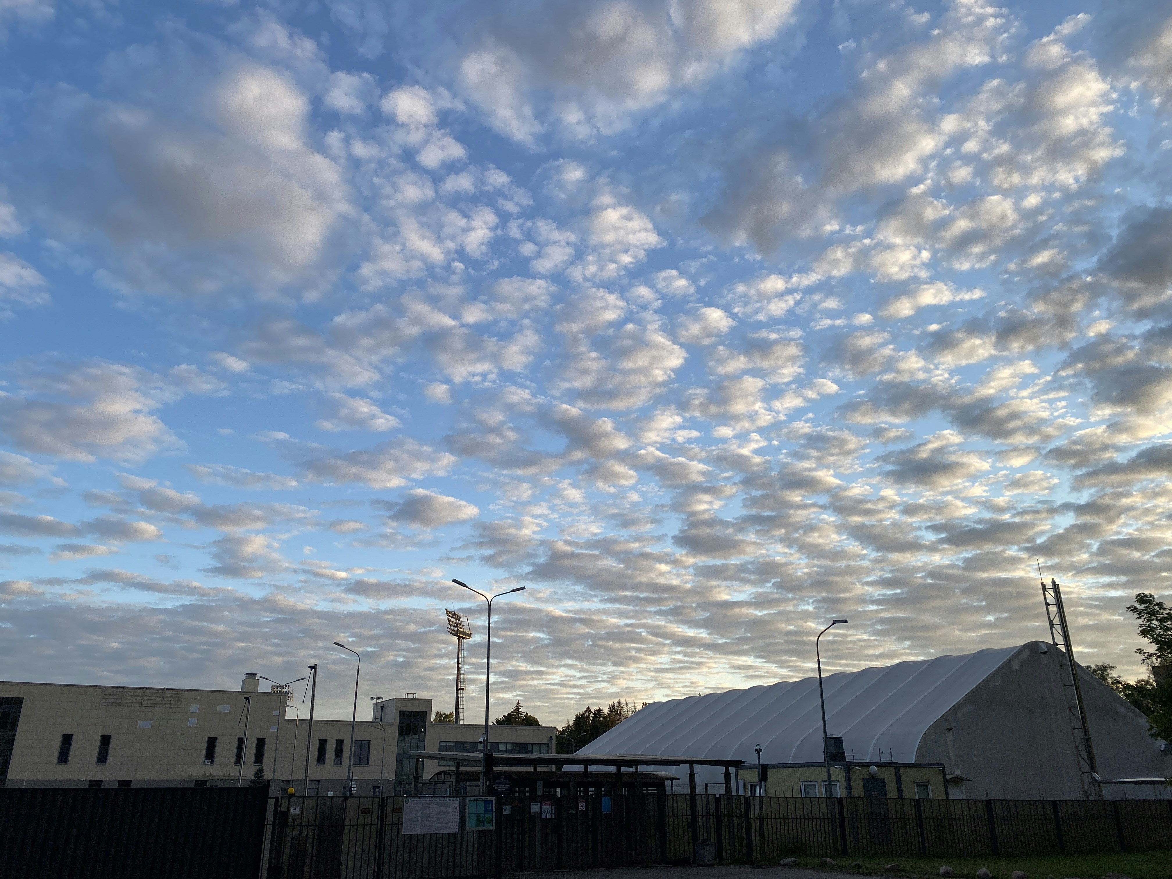 Whispers of the Evening Sky