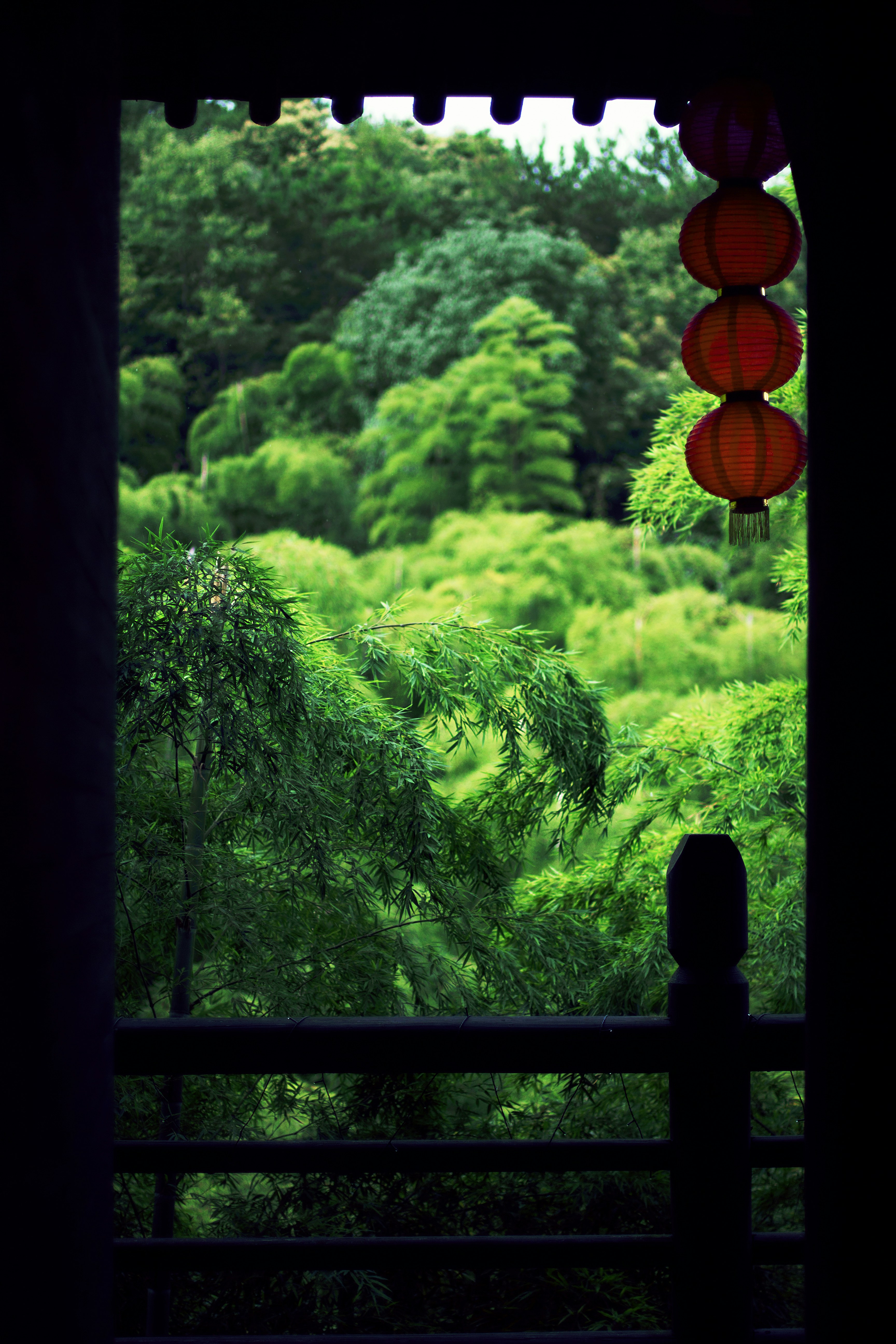 Whispers of Green Serenity