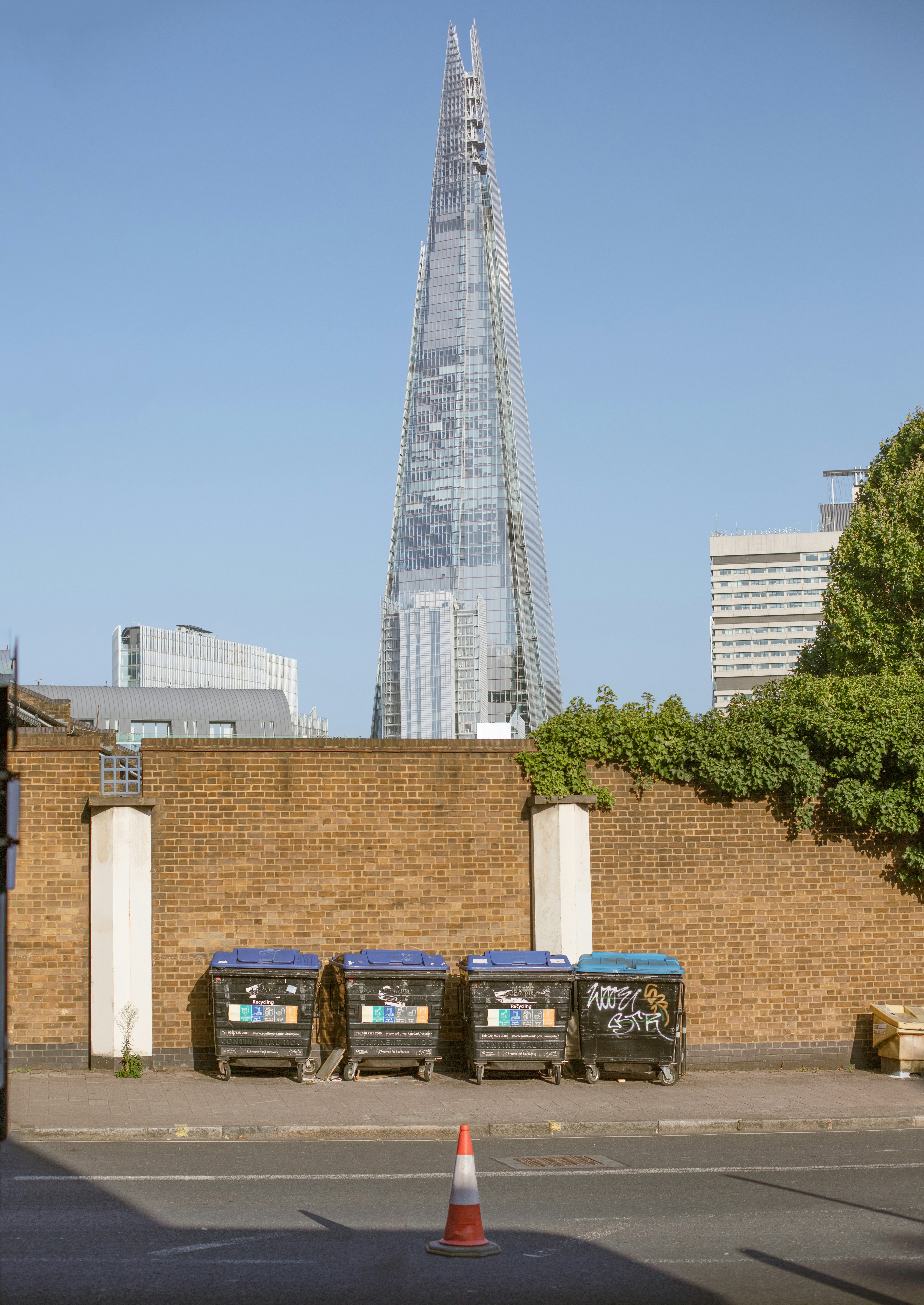 Urban Contrast: Nature Meets Modernity