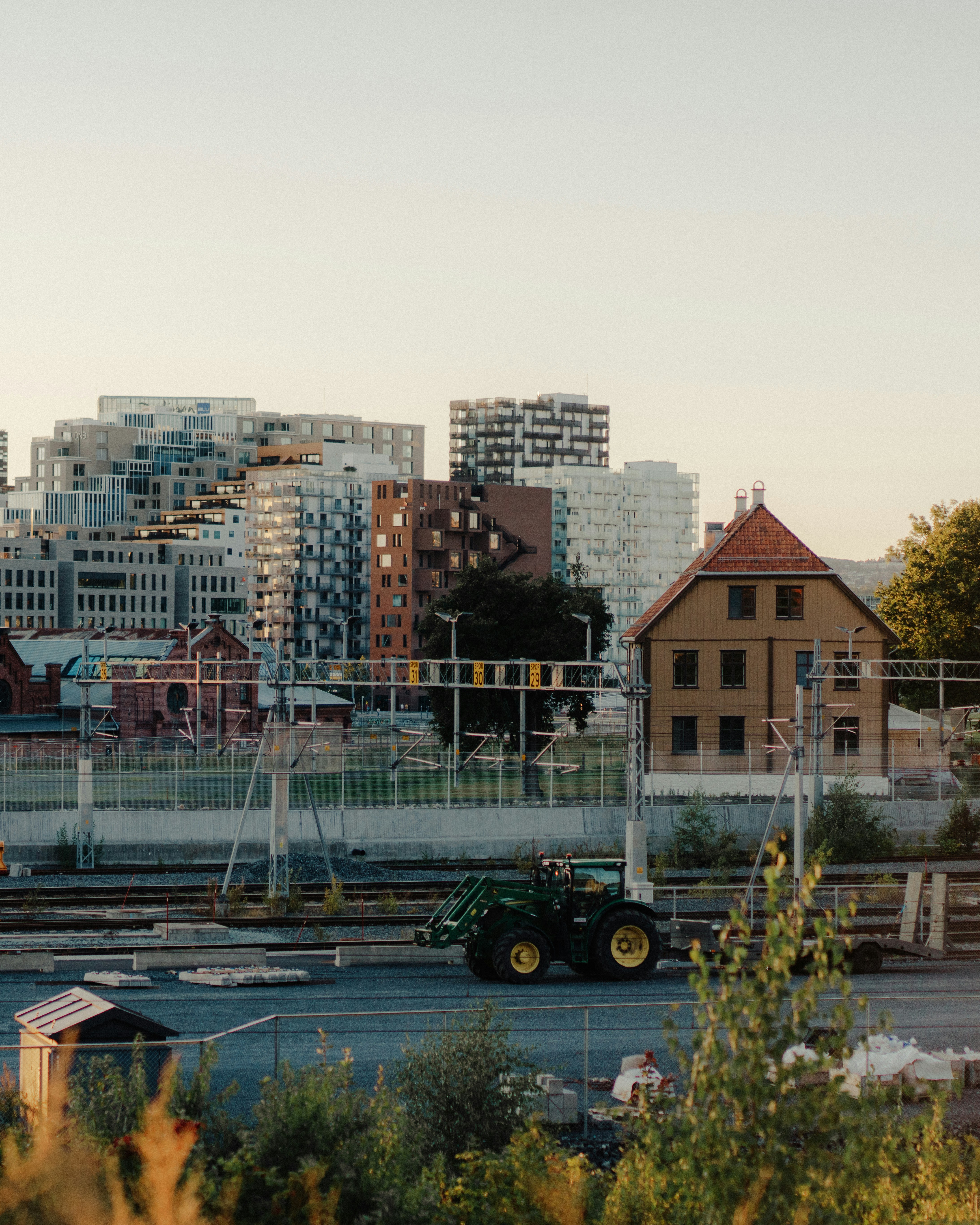 Urban Harmony: The Intersection of Nature and Architecture