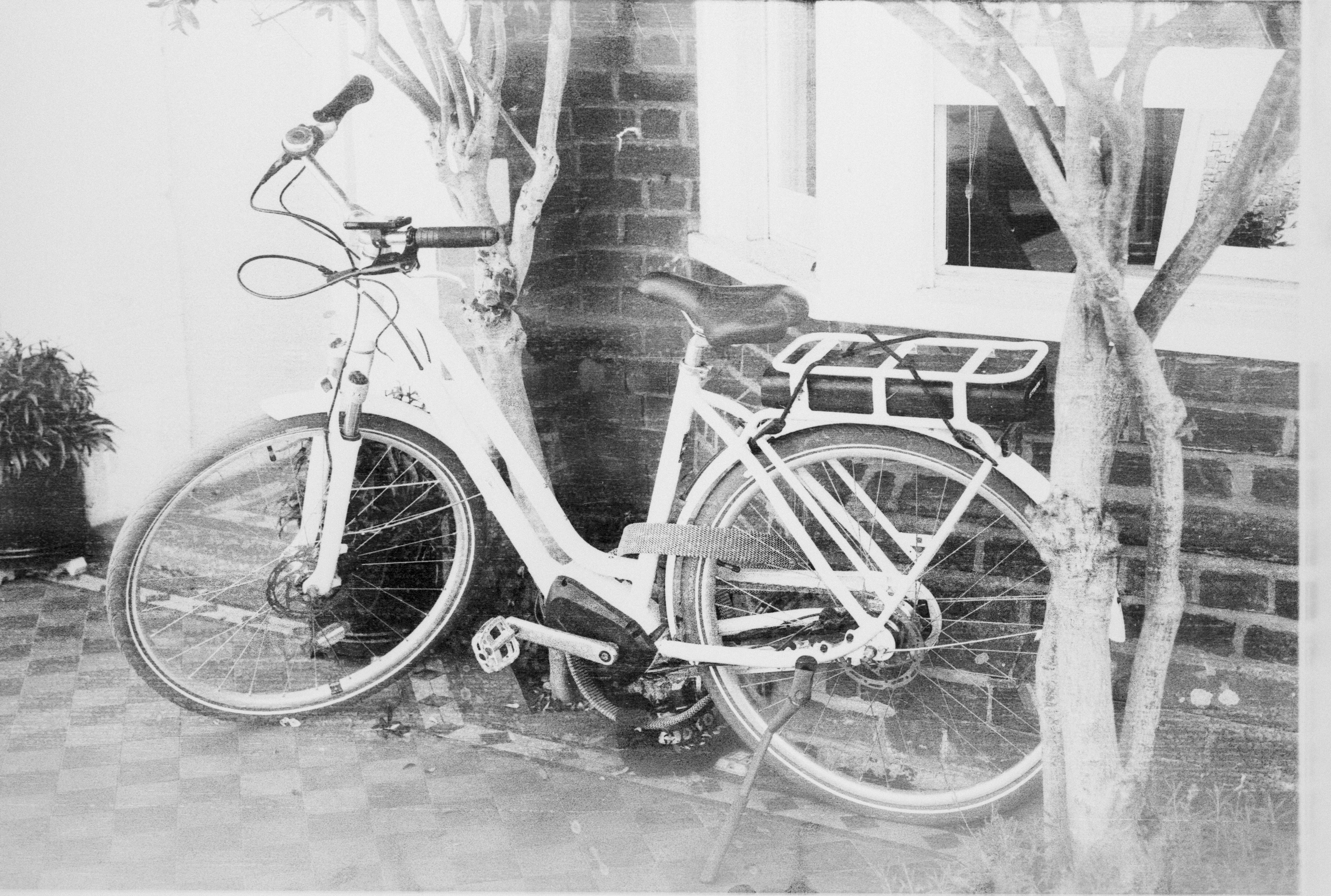 Whispers of the Forgotten Ride
