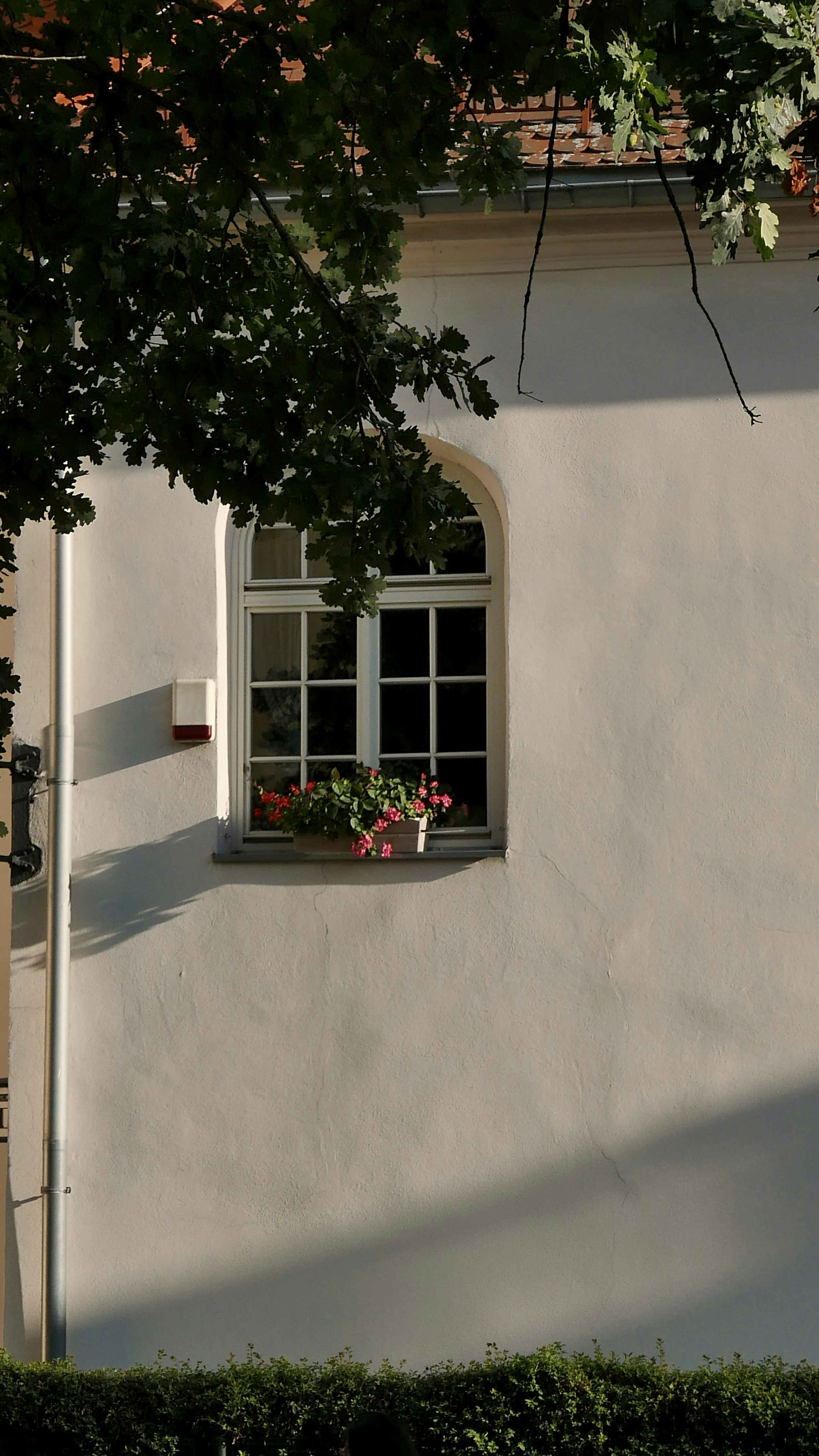 White arched window with flower box on wall