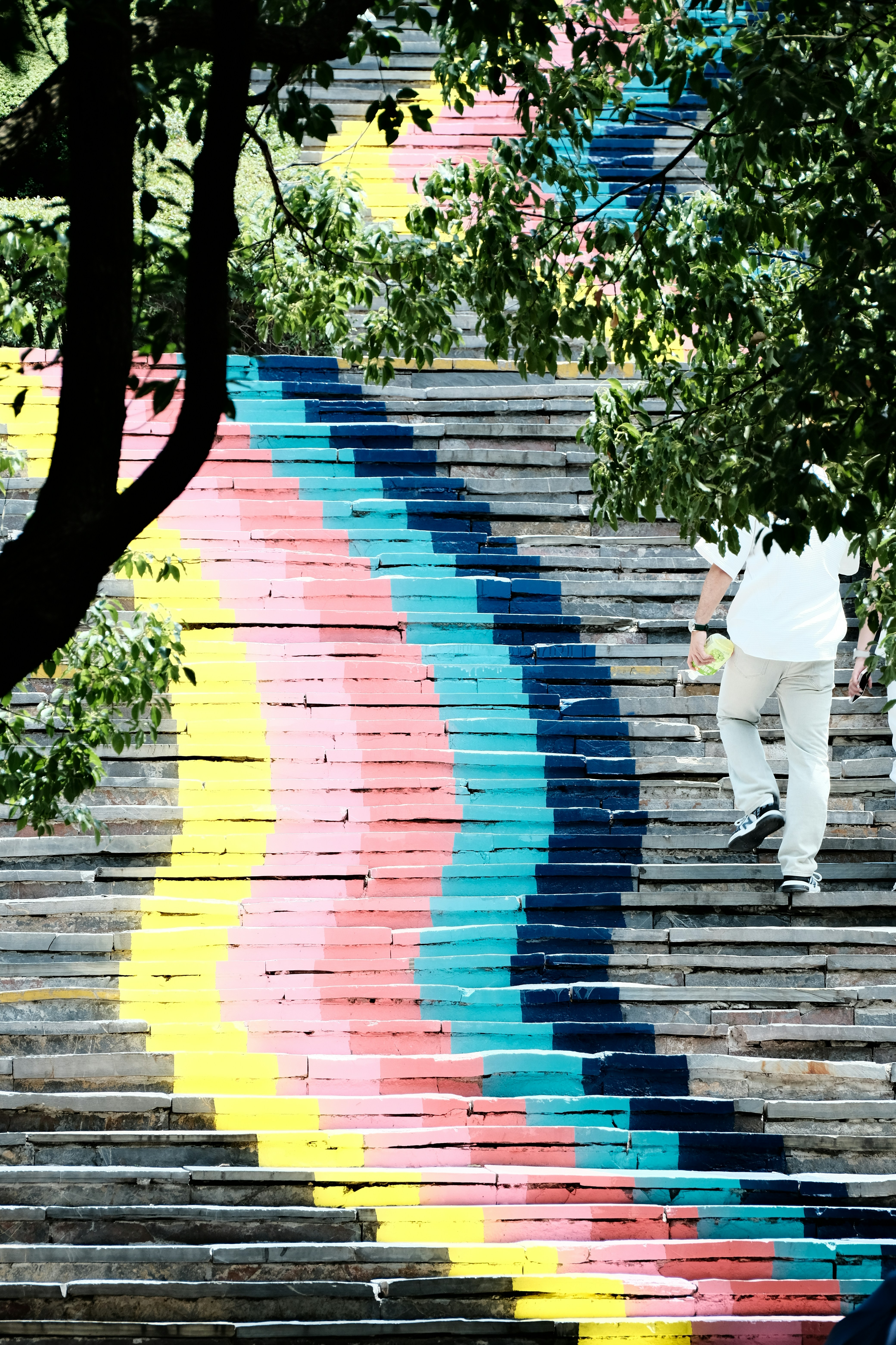 Colorful Ascent: A Journey Through Vibrant Steps