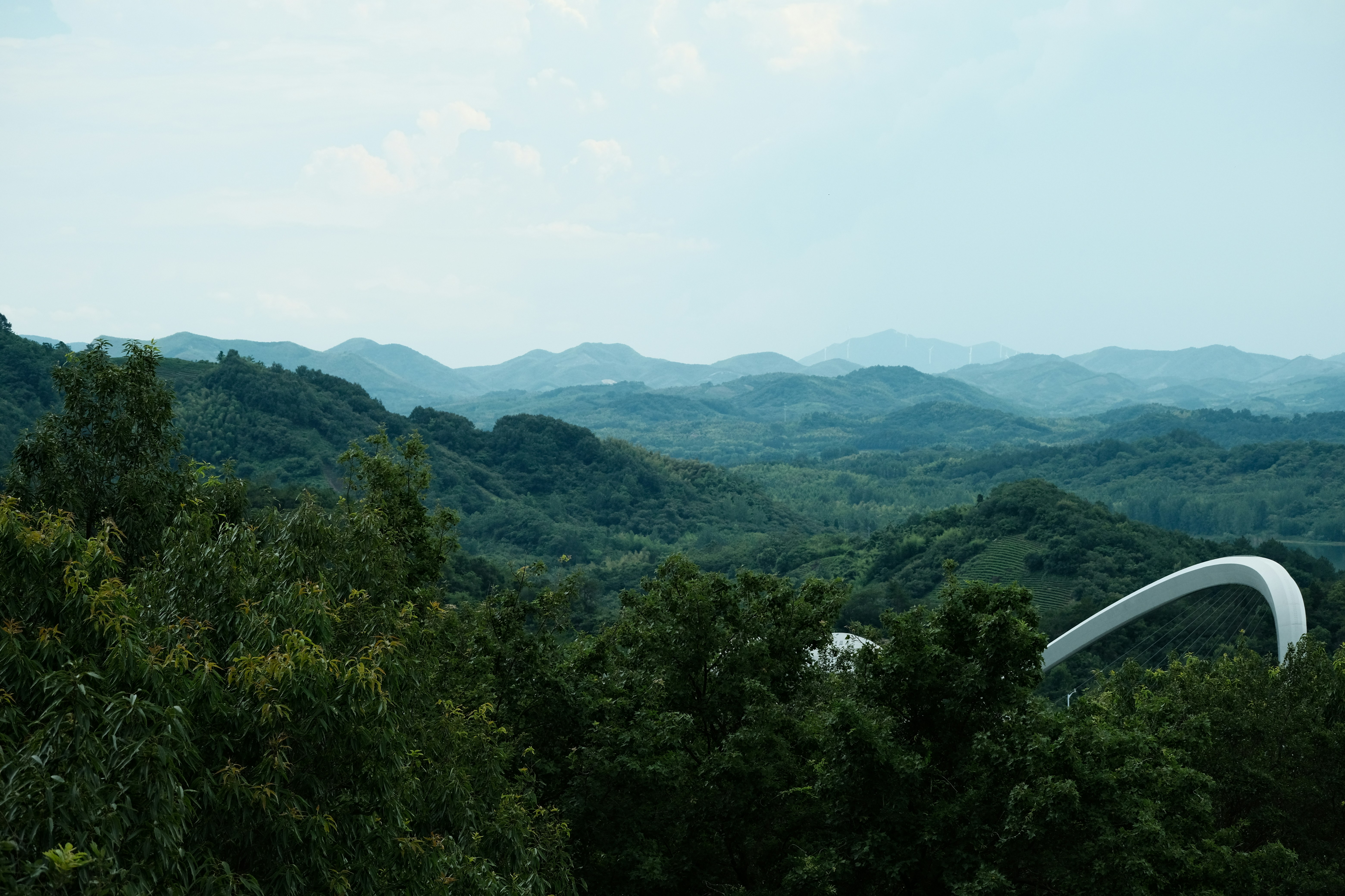 Whispers of the Green Horizon