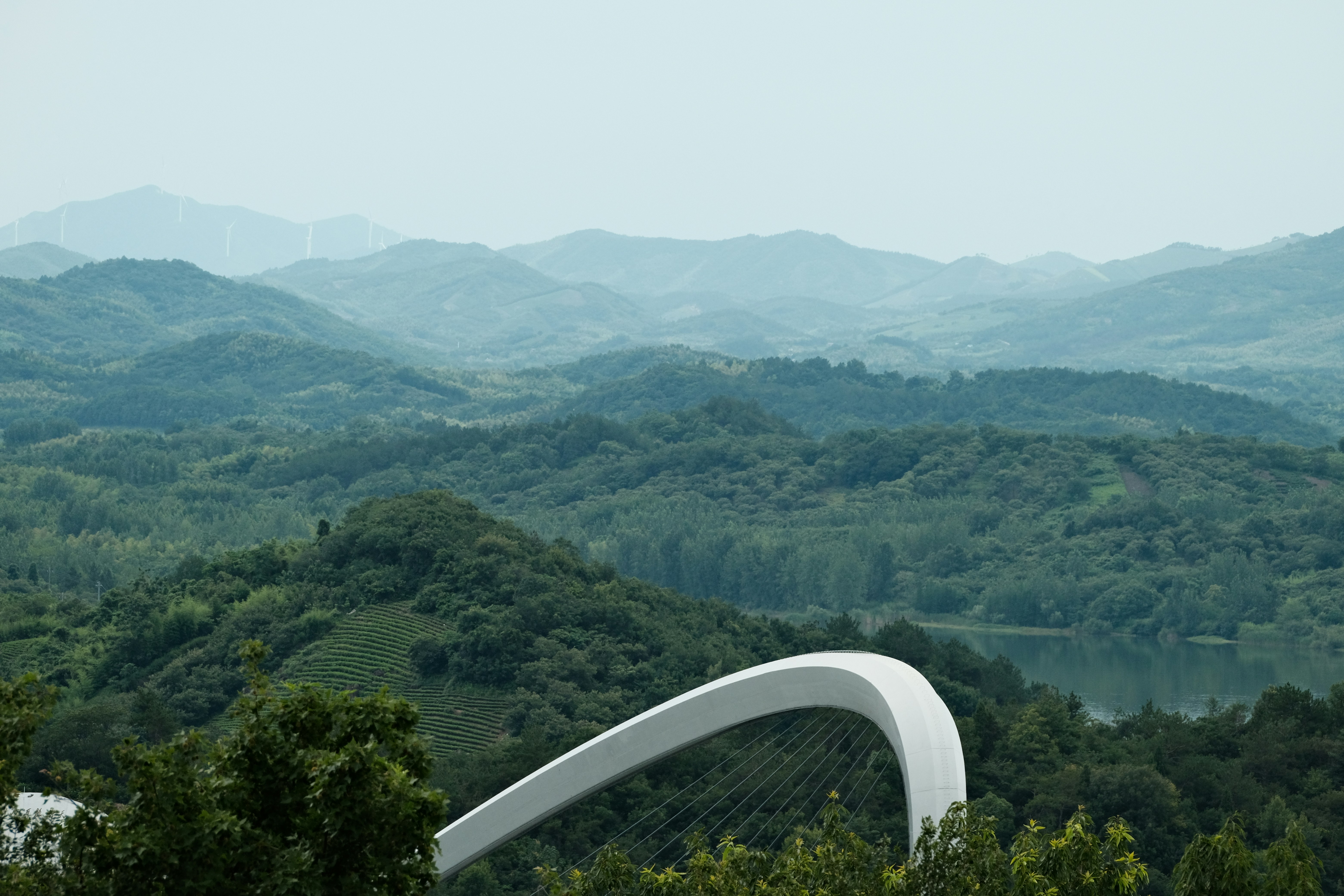 The Serene Arch: Nature's Embrace