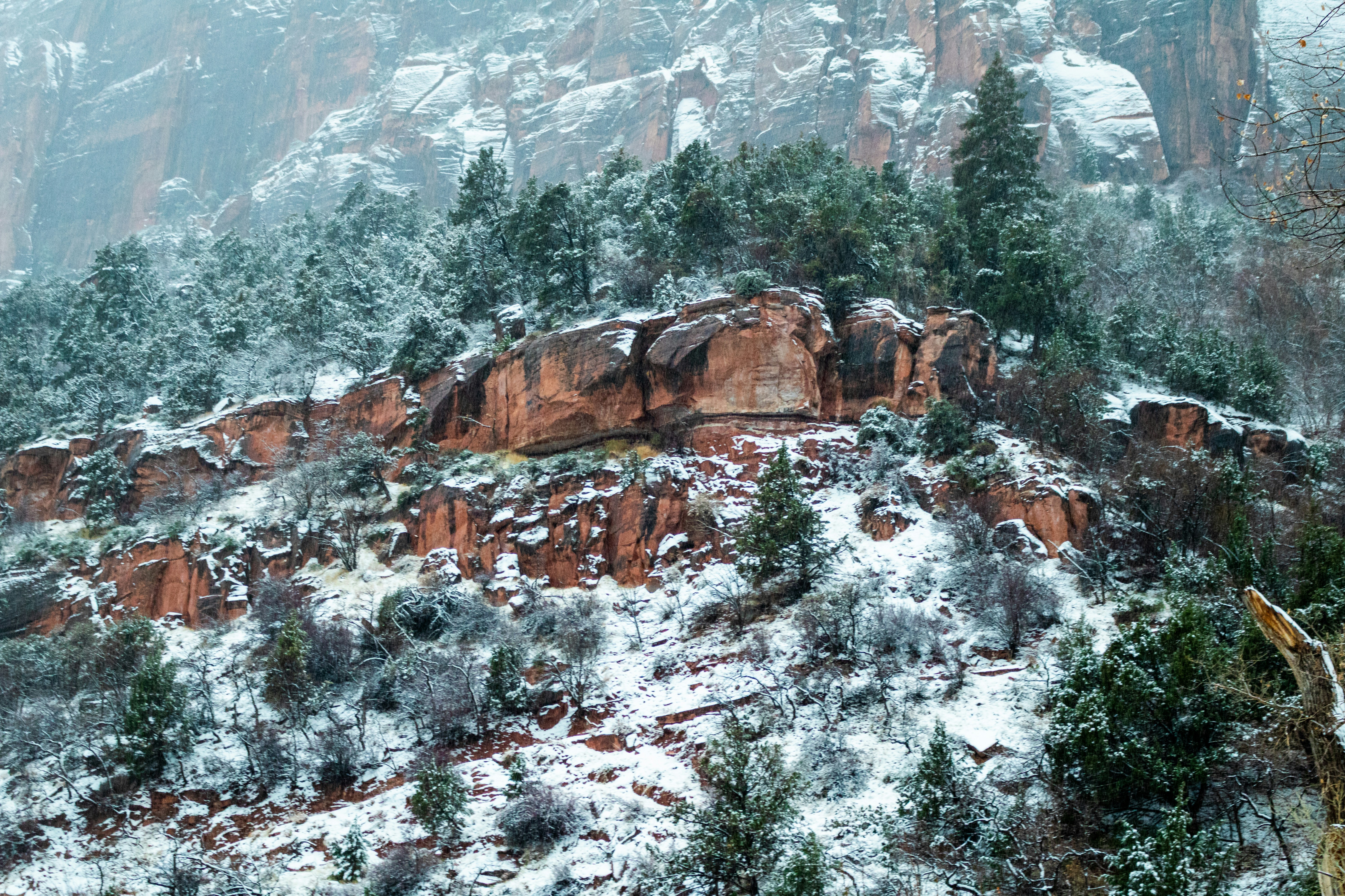 The striking winter beauty of Zion National Park, Utah, where red sandstone cliffs are dusted with fresh snow. The rugged rock formations contrast vividly with the white landscape, while evergreen trees and bare branches add depth to the scene. | Snow-covered rocks and trees on a mountainside