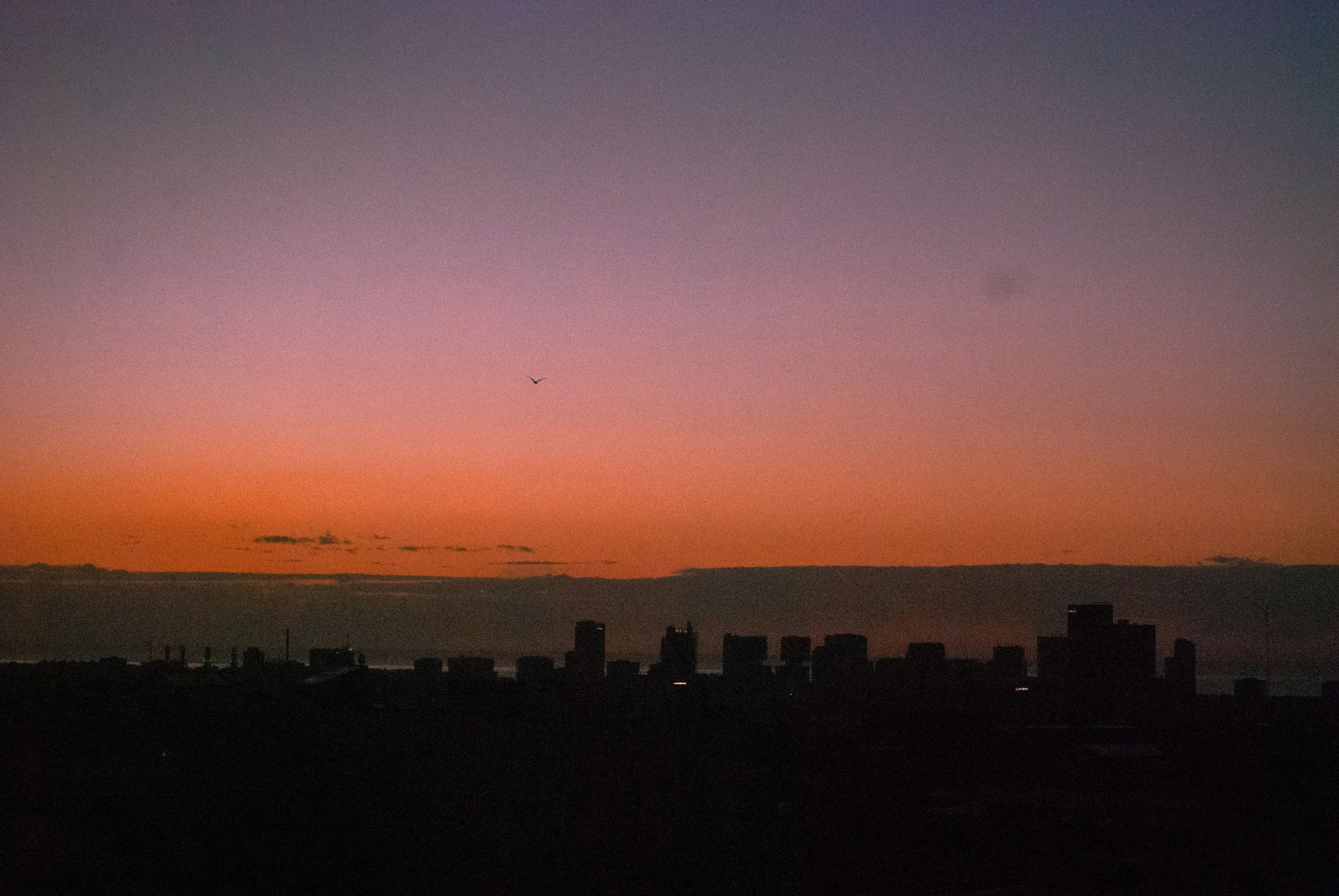 Embers Over the Harbor: A City Silhouette at Dusk