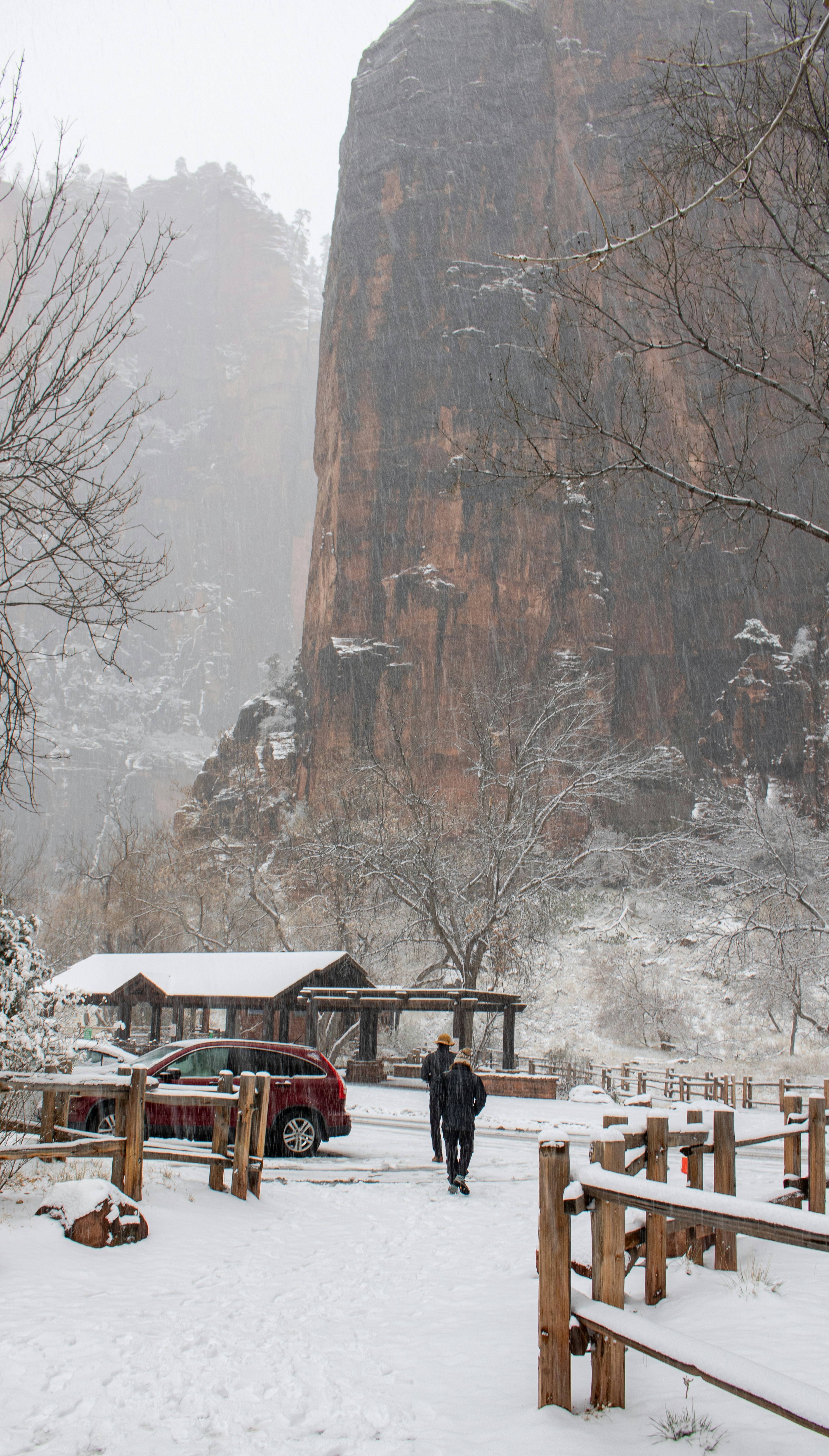 Journey Through Winter's Embrace