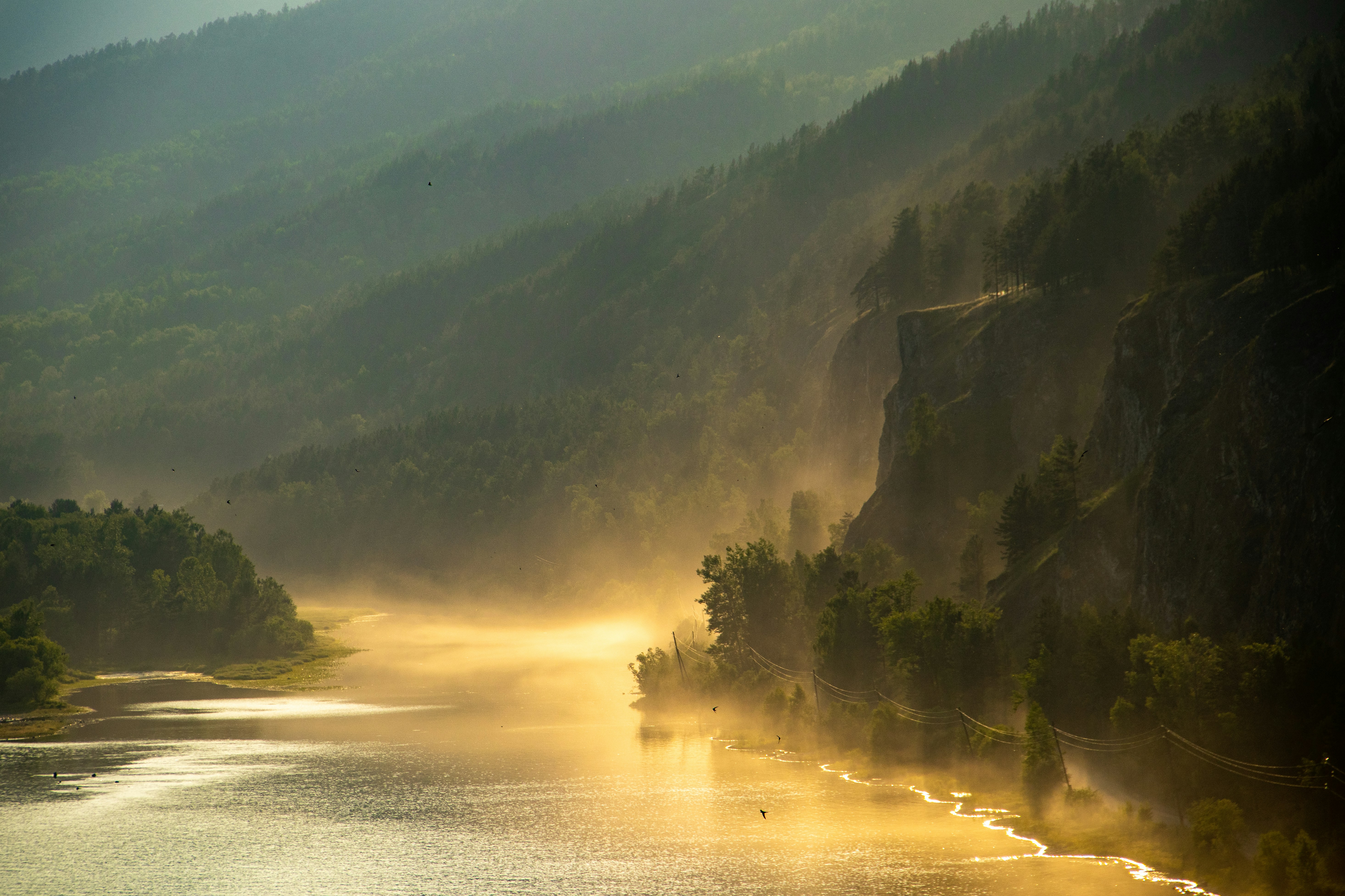 Misty river flowing through a forested mountain valley.