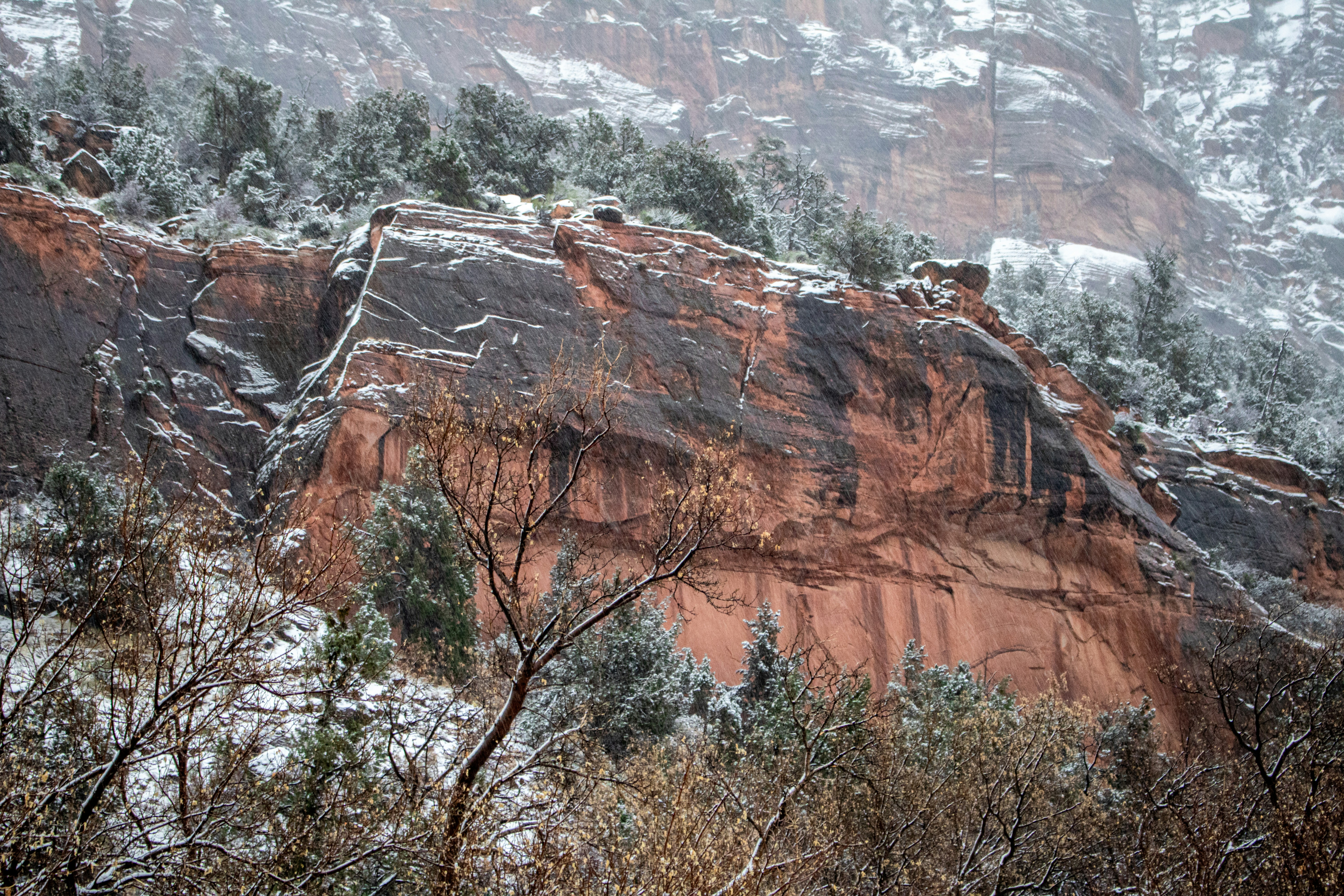 Snowy red rock cliff face with trees photo – Free Wallpaper Image on ...