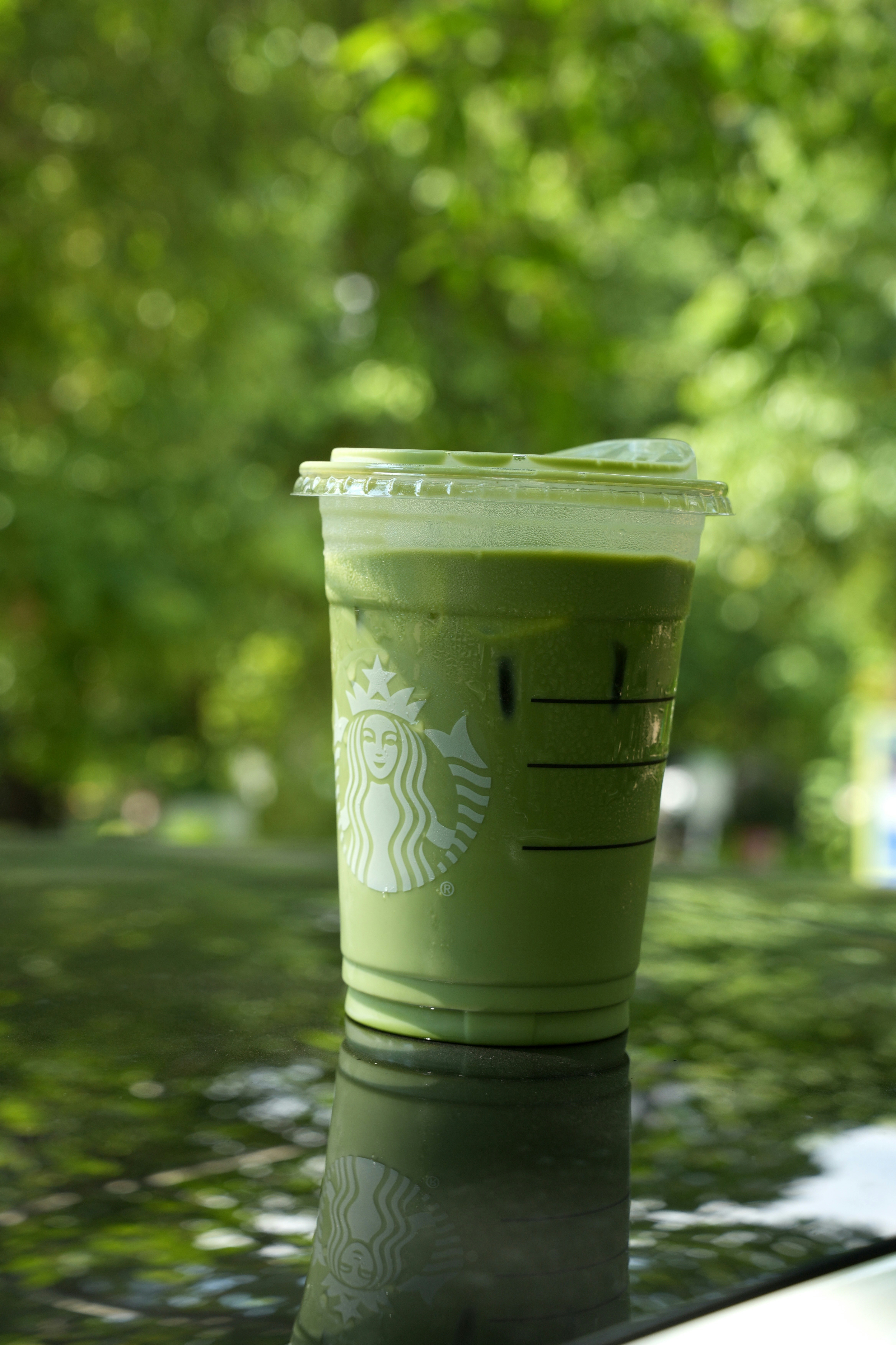 Verdant Matcha Cup on a Reflective Table Under Dappled Garden Light