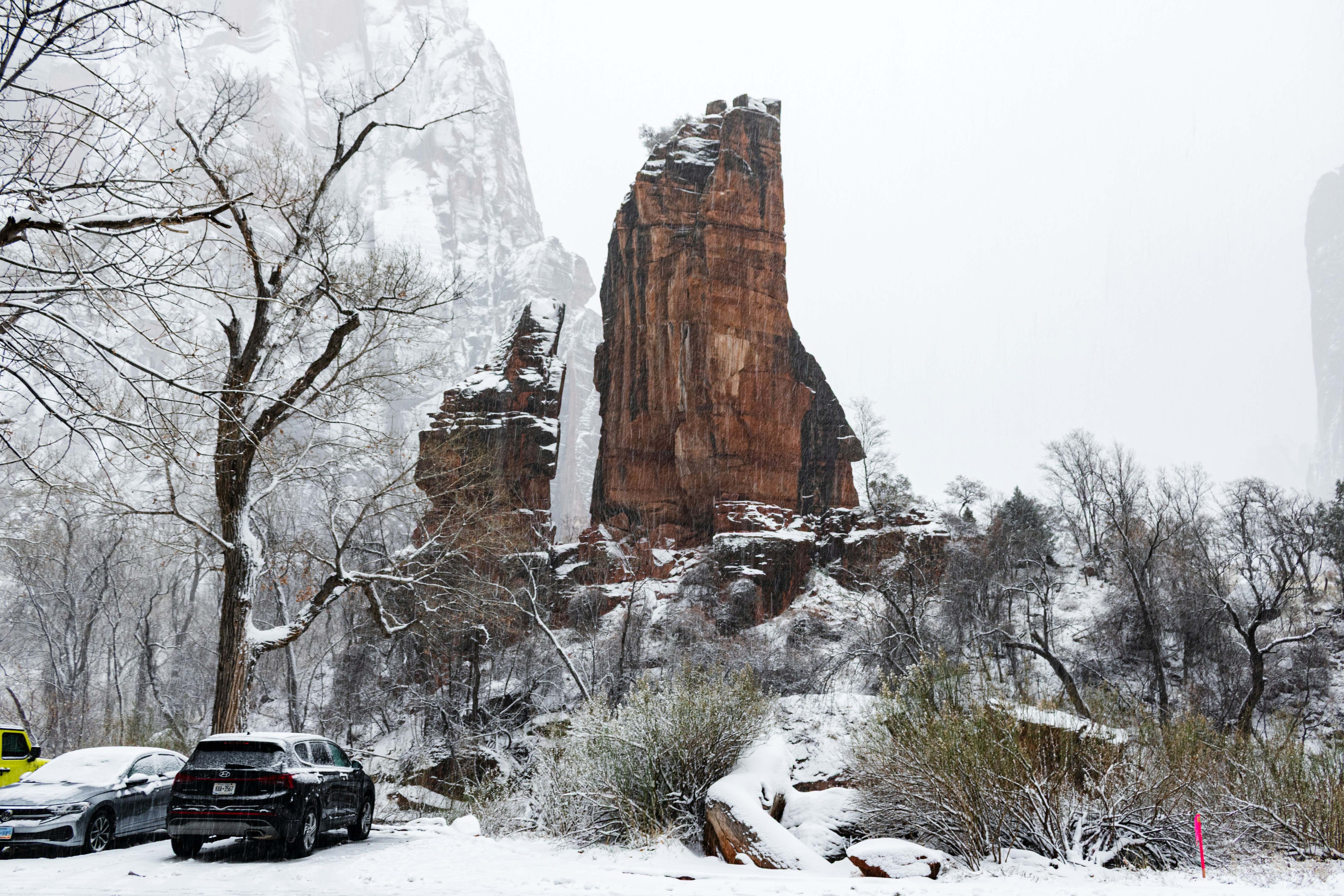 Snow blankets the towering sandstone cliffs of Temple of Sinawava in Zion National Park, transforming the rugged red rock into a striking winter scene. The vertical rock formations, shaped by millions of years of erosion, rise majestically above the snow-dusted trees and brush. Zion’s winter beauty offers fewer crowds, serene landscapes, and a rare chance to see Utah’s desert wilderness in silence.