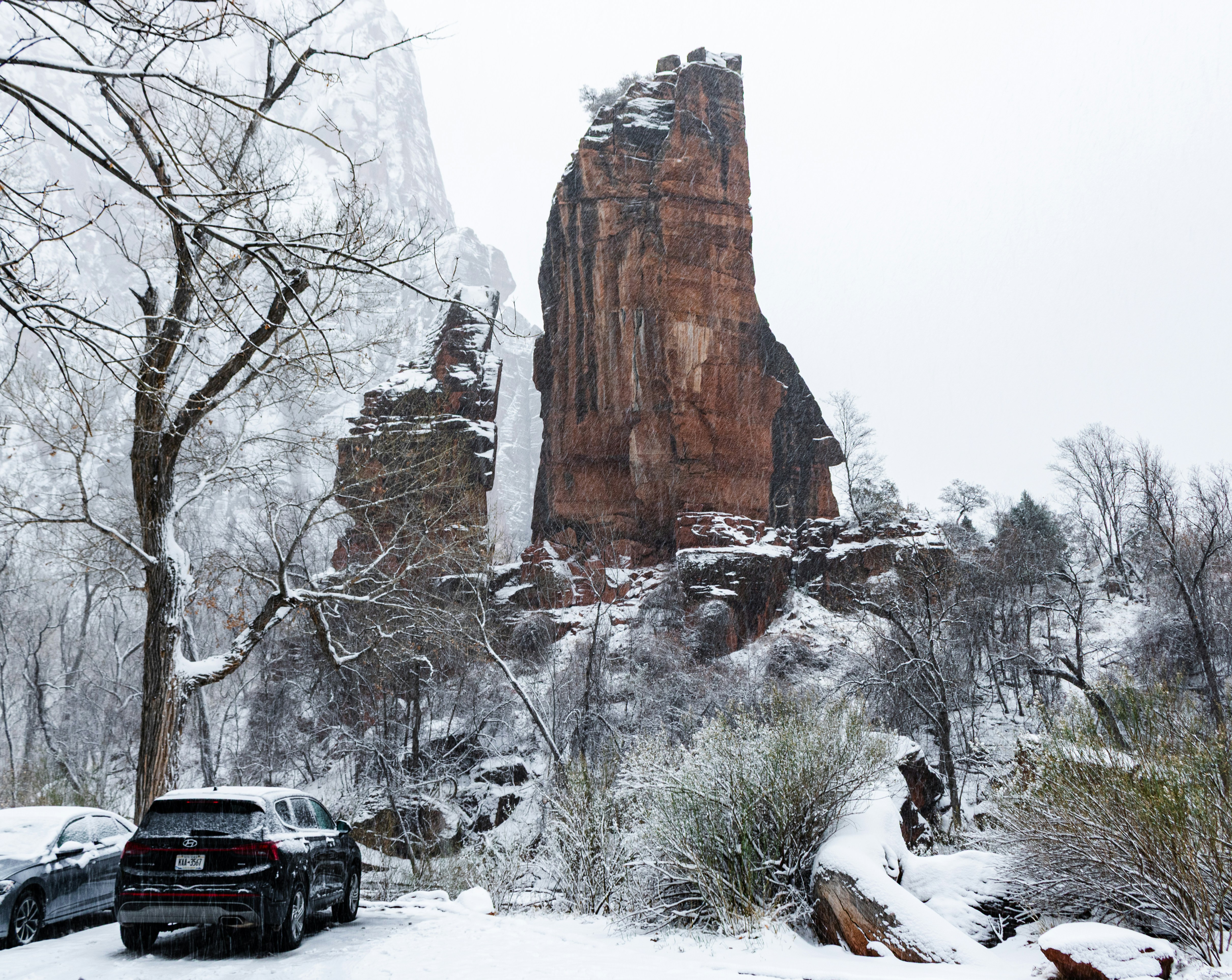 Snow blankets the towering sandstone cliffs of Temple of Sinawava in Zion National Park, transforming the rugged red rock into a striking winter scene. The vertical rock formations, shaped by millions of years of erosion, rise majestically above the snow-dusted trees and brush. Zion’s winter beauty offers fewer crowds, serene landscapes, and a rare chance to see Utah’s desert wilderness in silence. | Snowy landscape with tall rock formation and trees