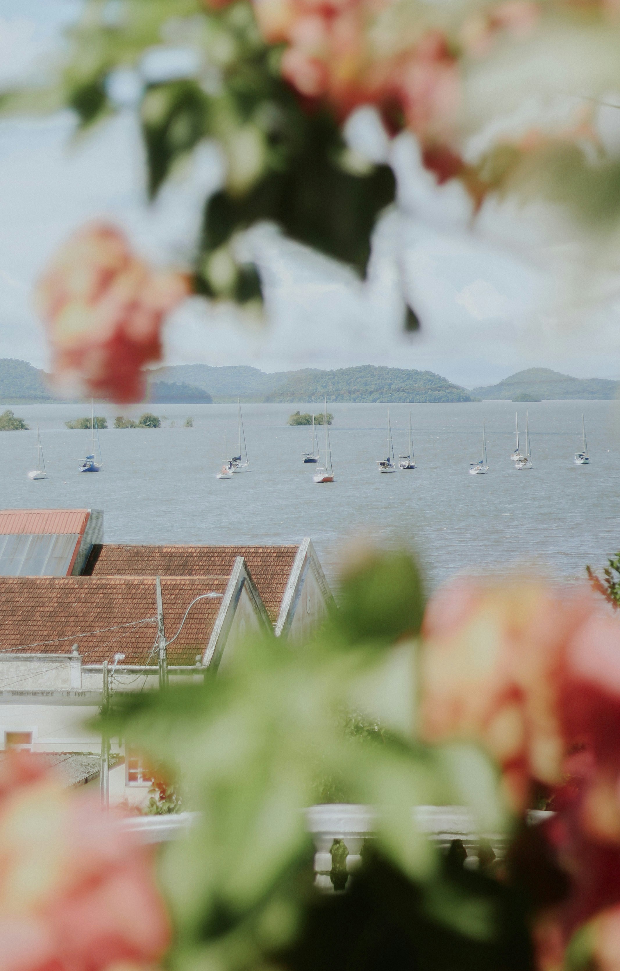 Sailboats on a calm bay with distant hills.