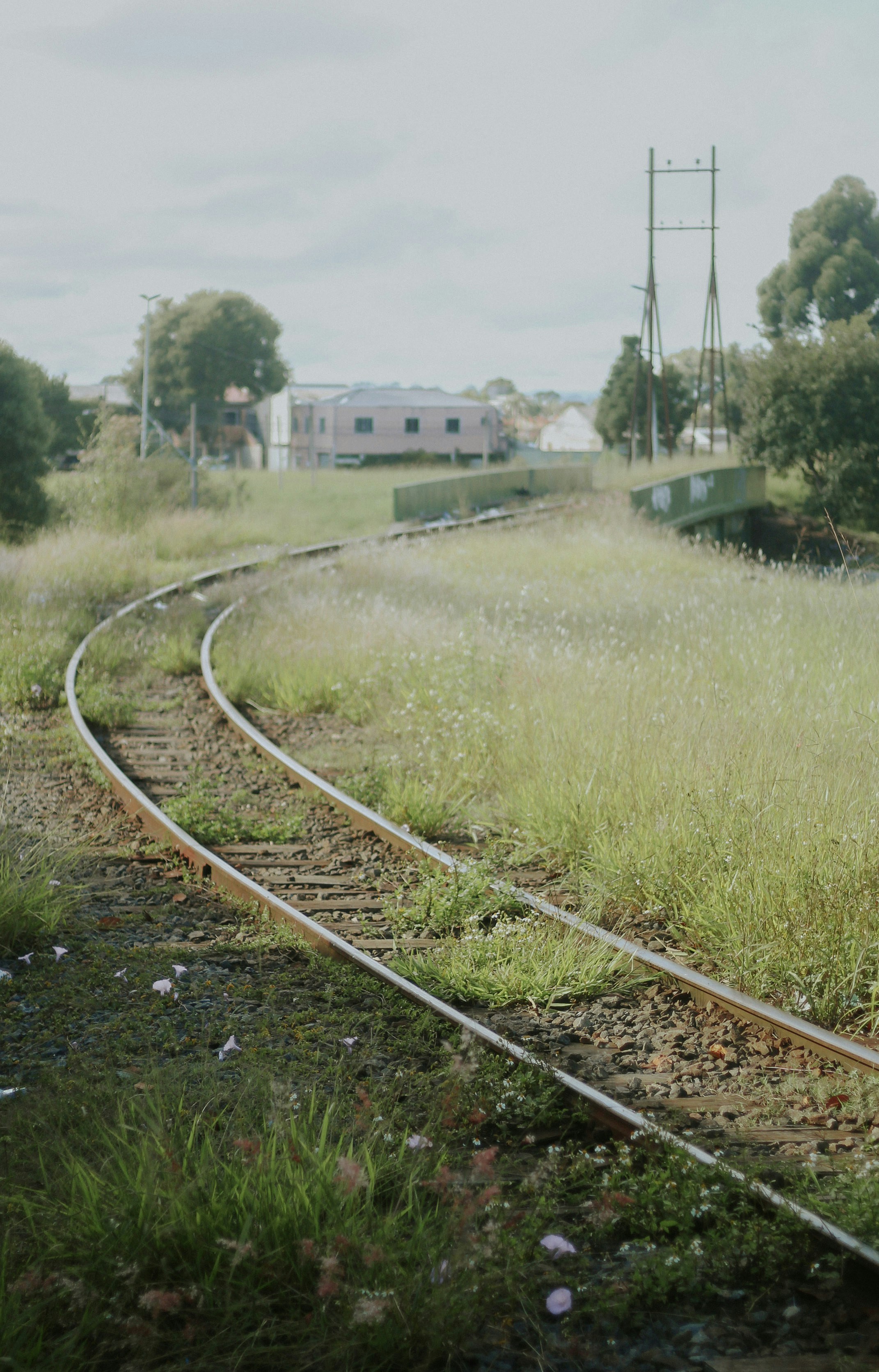 Whispers of Abandonment: The Forgotten Tracks