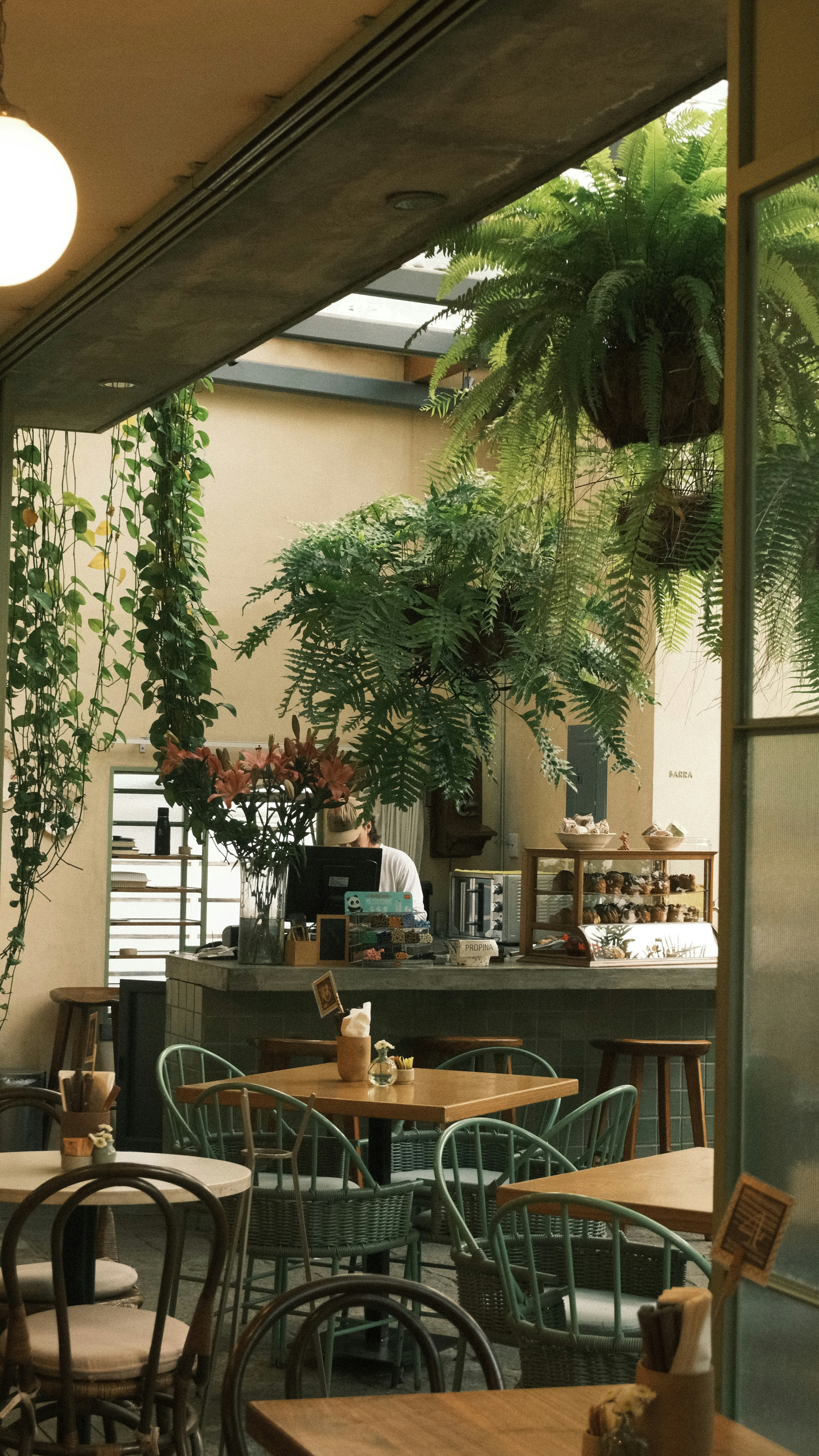 Cozy cafe interior with lush hanging plants and seating.