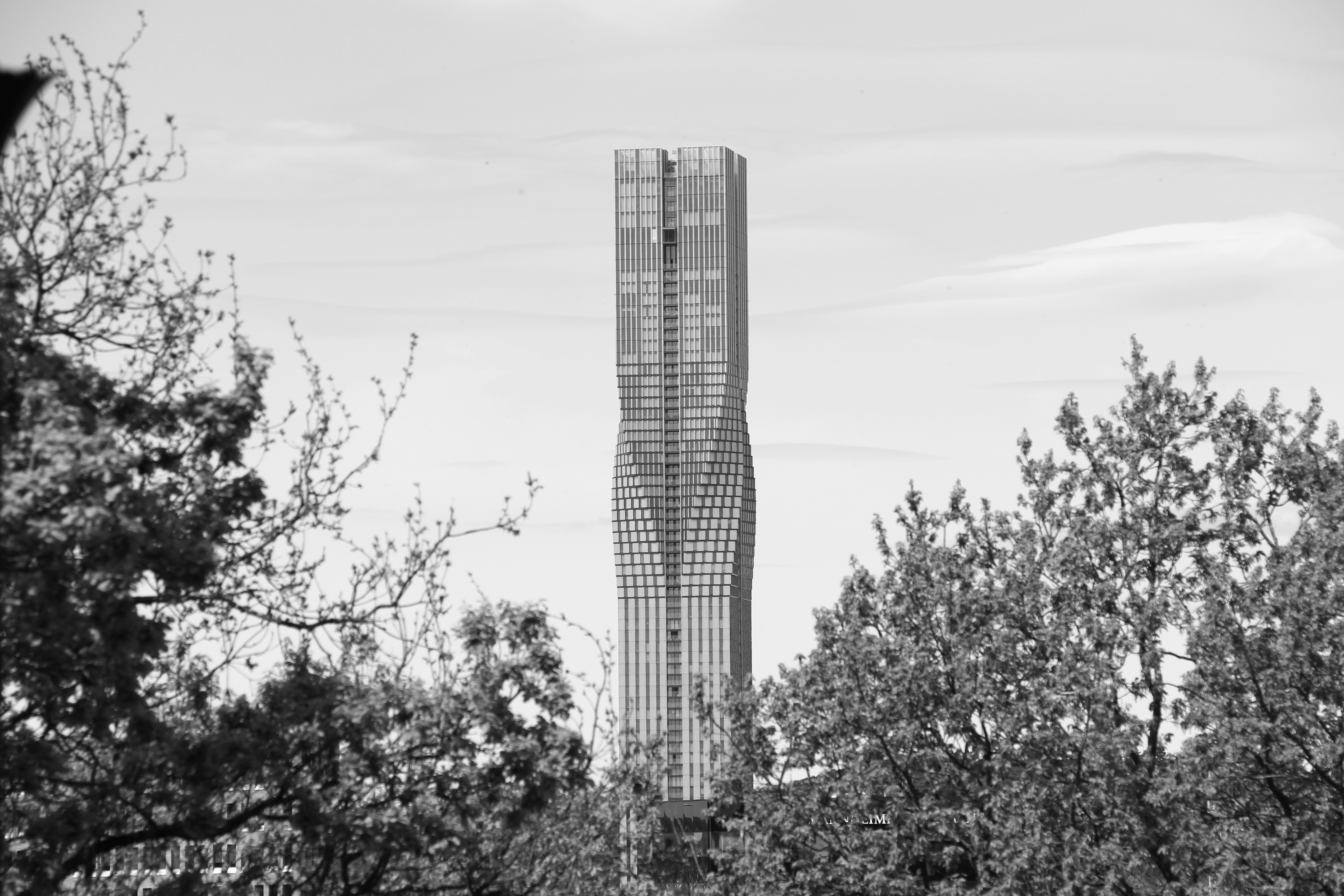 Tall skyscraper viewed through trees in black and white.