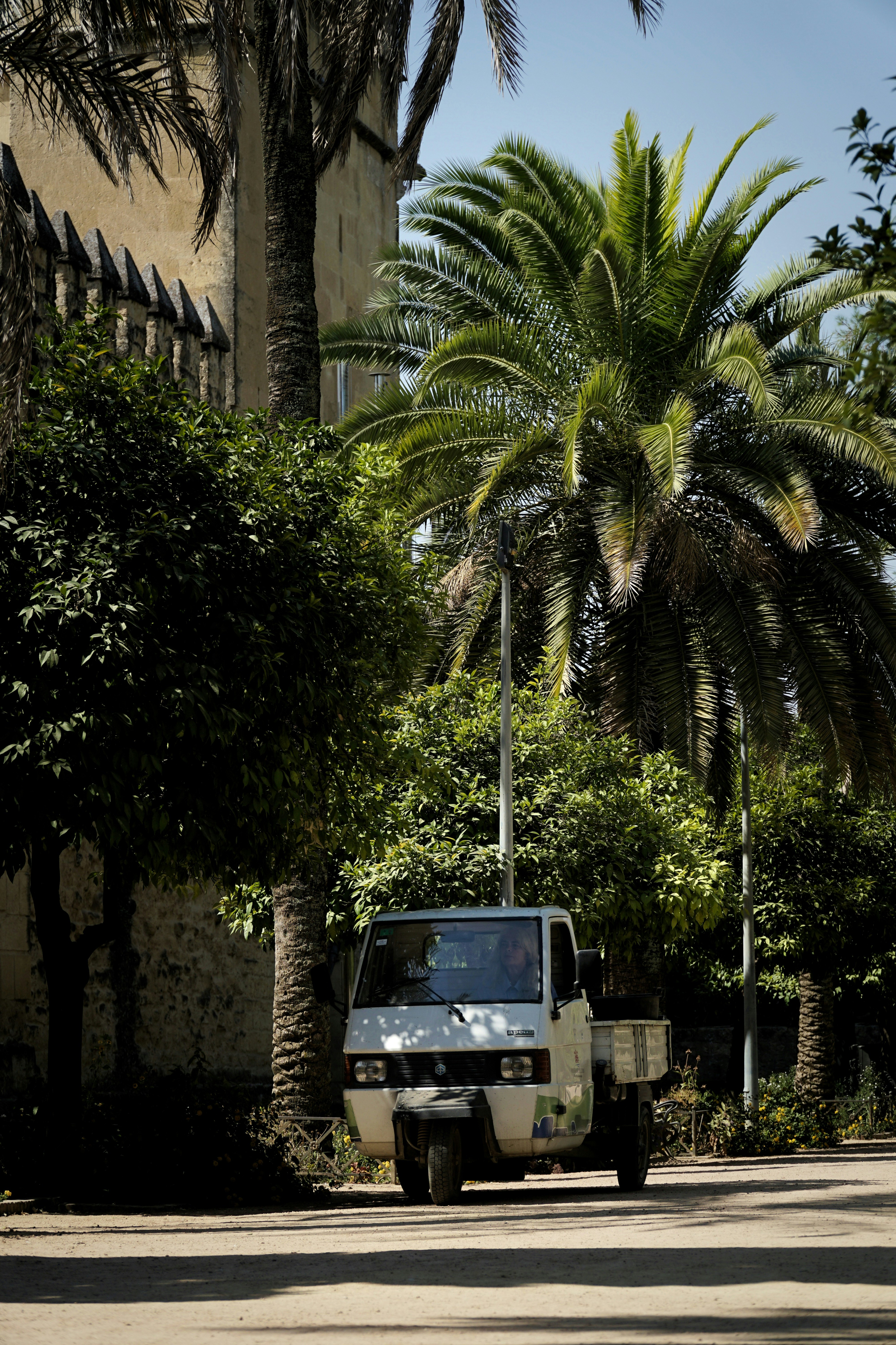 Photo by Jan Ryszka with Sony Alpha 6300