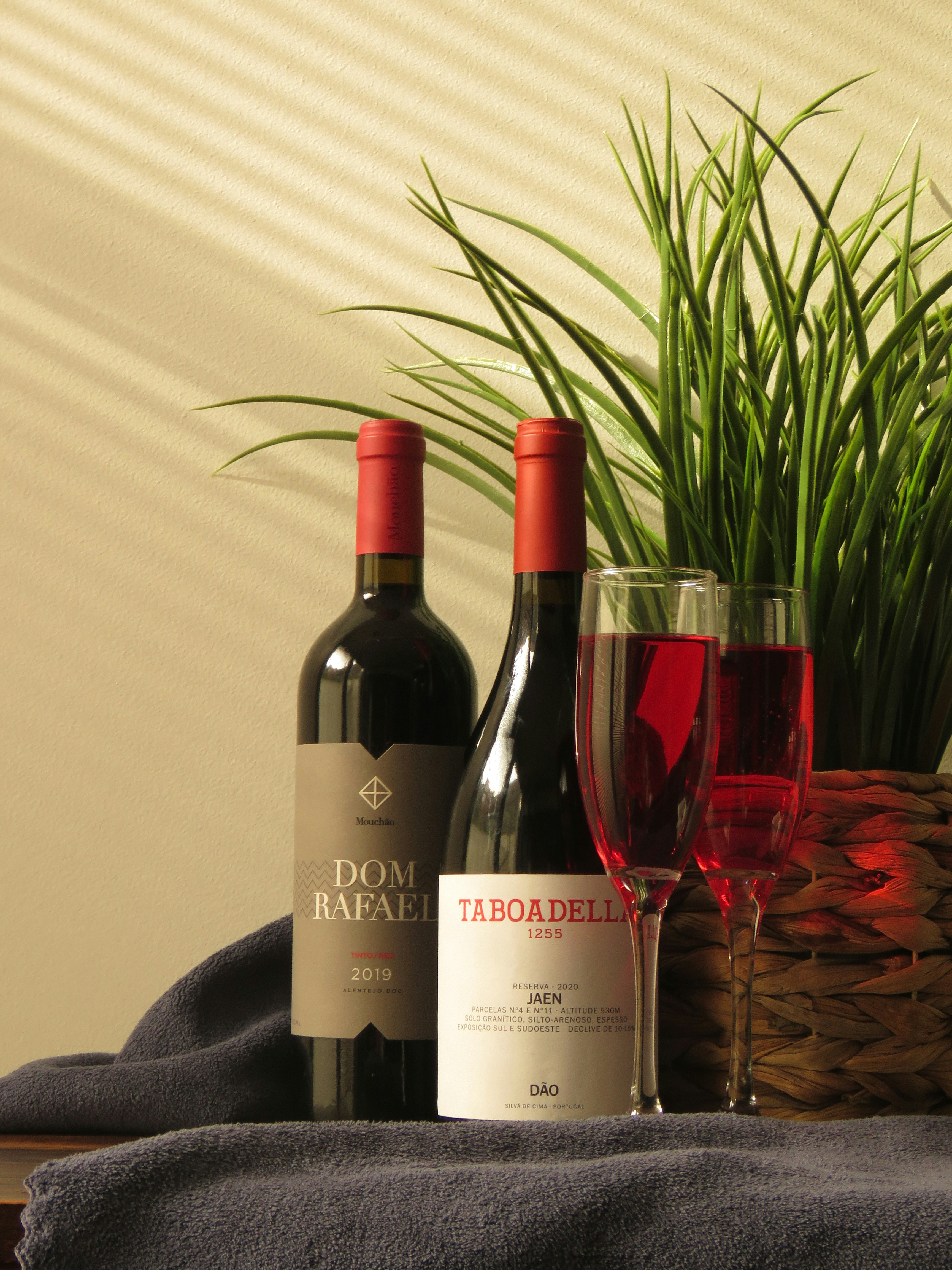 A Toast to Elegance: Wine and Nature's Embrace