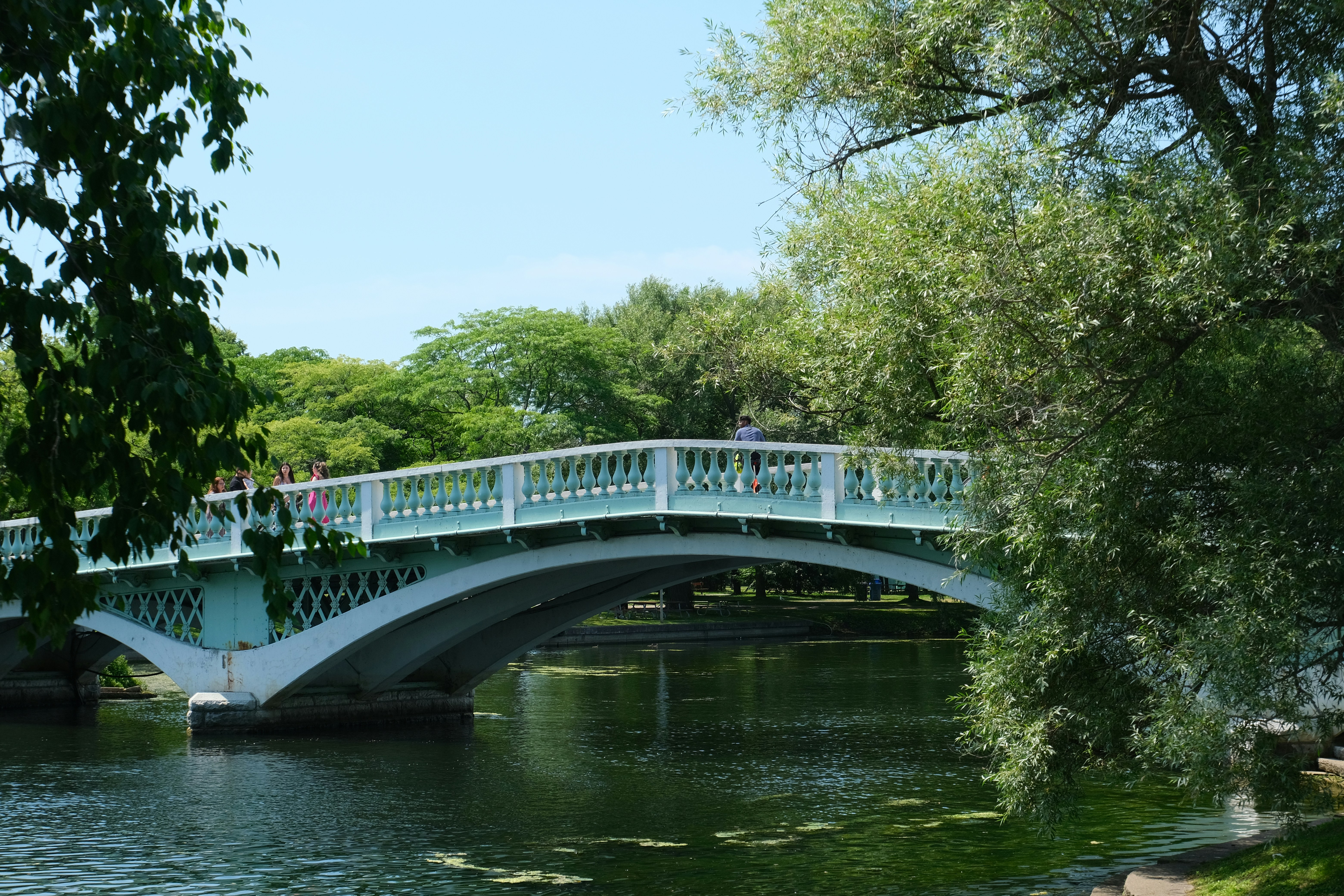 A tranquil scene featuring a decorative bridge spanning a calm waterway, surrounded by lush greenery.