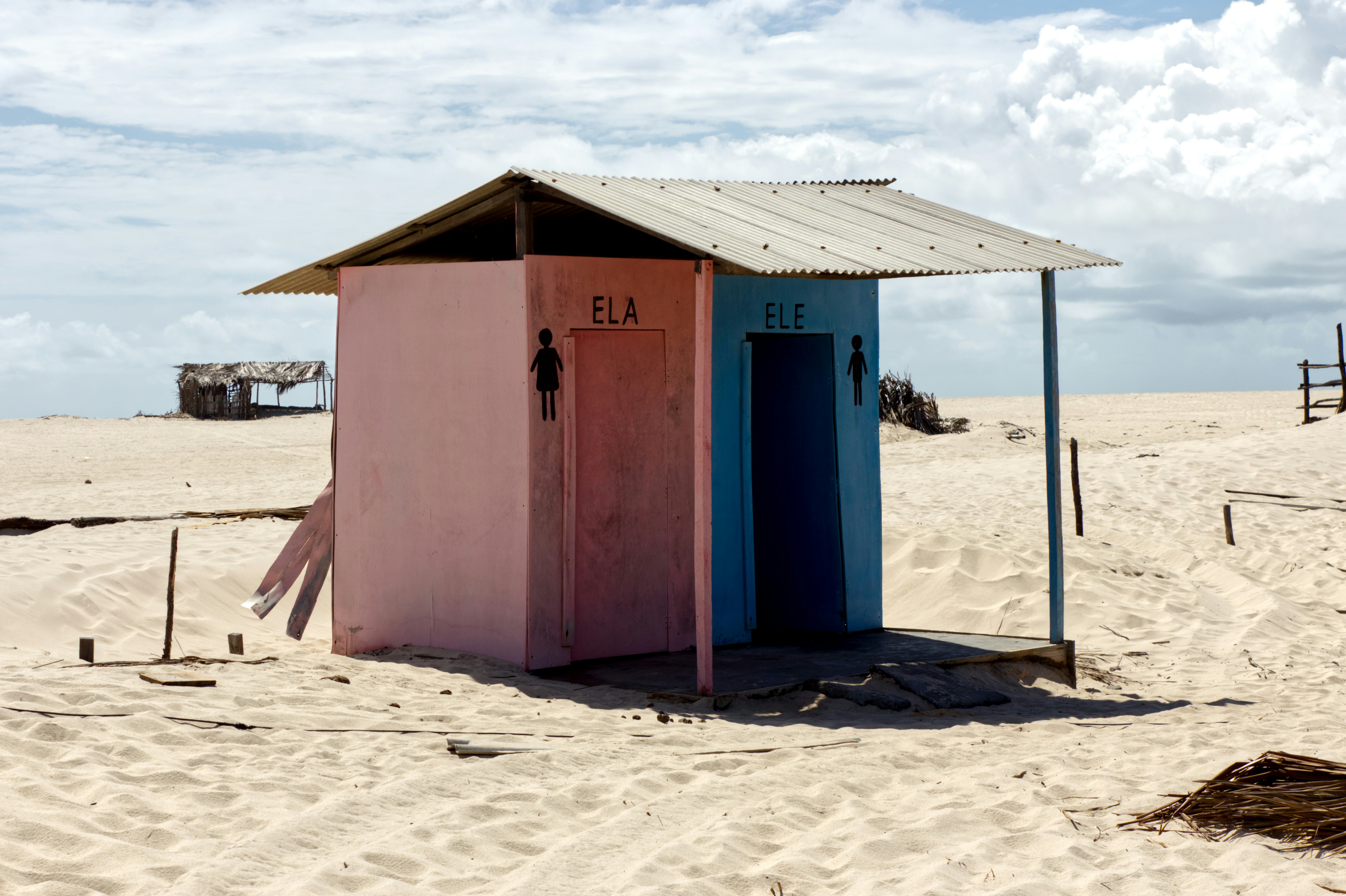 Whimsical Restroom Retreat by the Shore