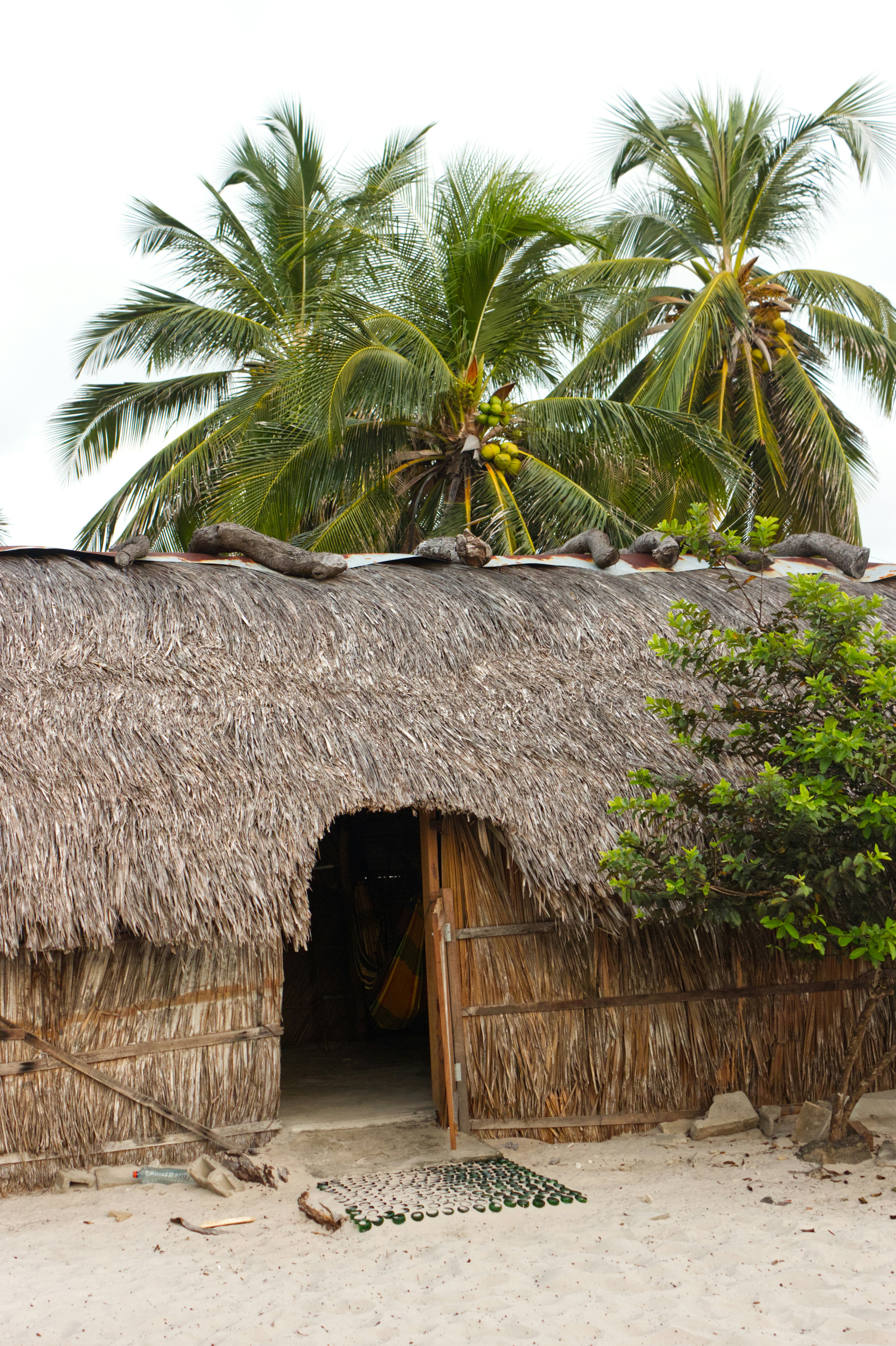 Thatched-roof hut surrounded by lush palm trees, with a glimpse of a doorway leading inside. A serene representation of coastal living.